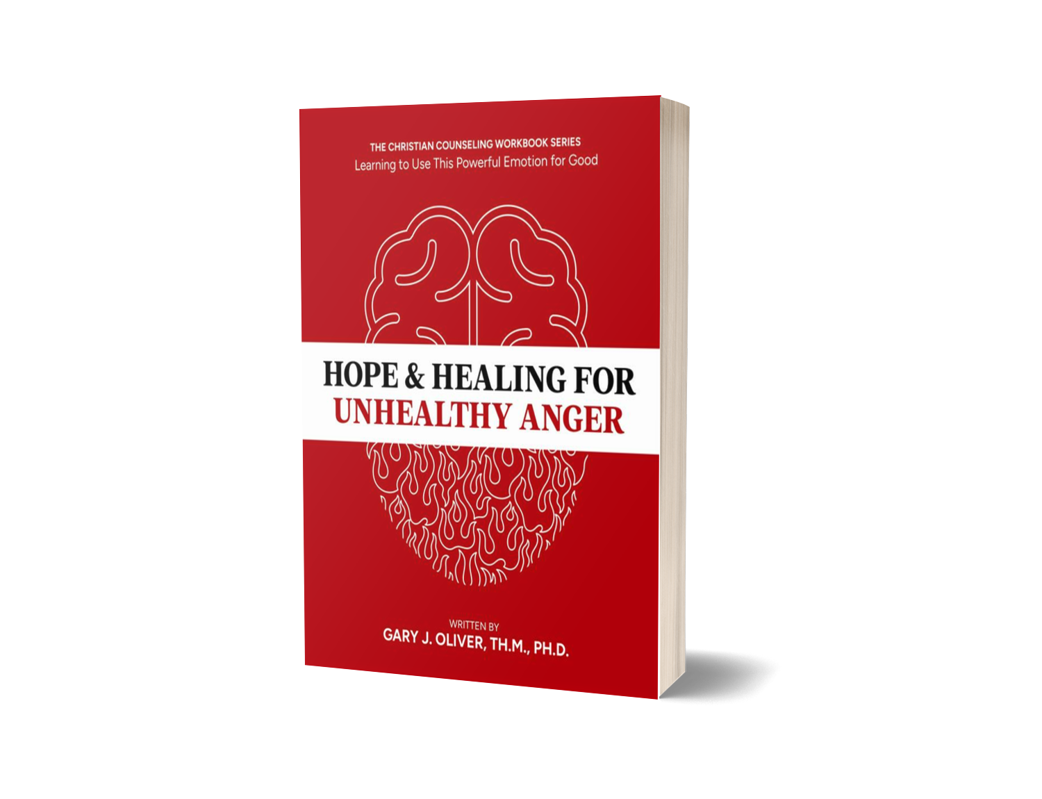 Hope & Healing for Unhealthy Anger: Learning to Use This Powerful ...