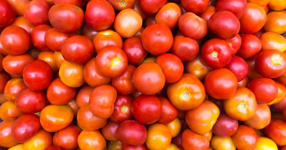 Tomayto, Tomahto: What’s in a [Degree] Name?