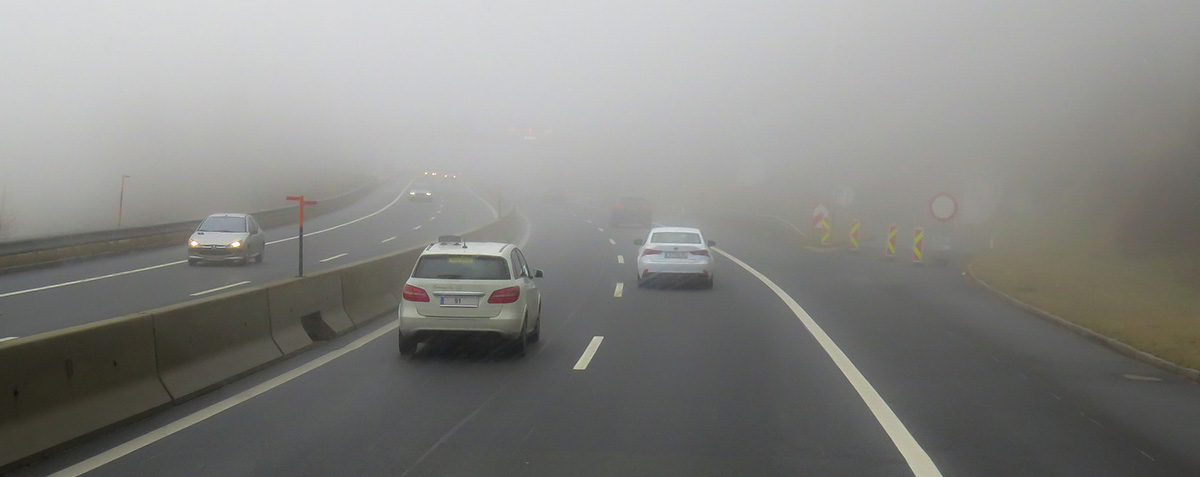 ¿Cómo debes conducir con niebla en el camino?