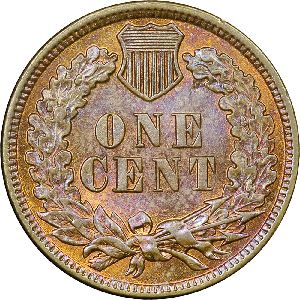 1880 1C MS Indian Cents NGC 1880 1C MS Indian Cents NGC