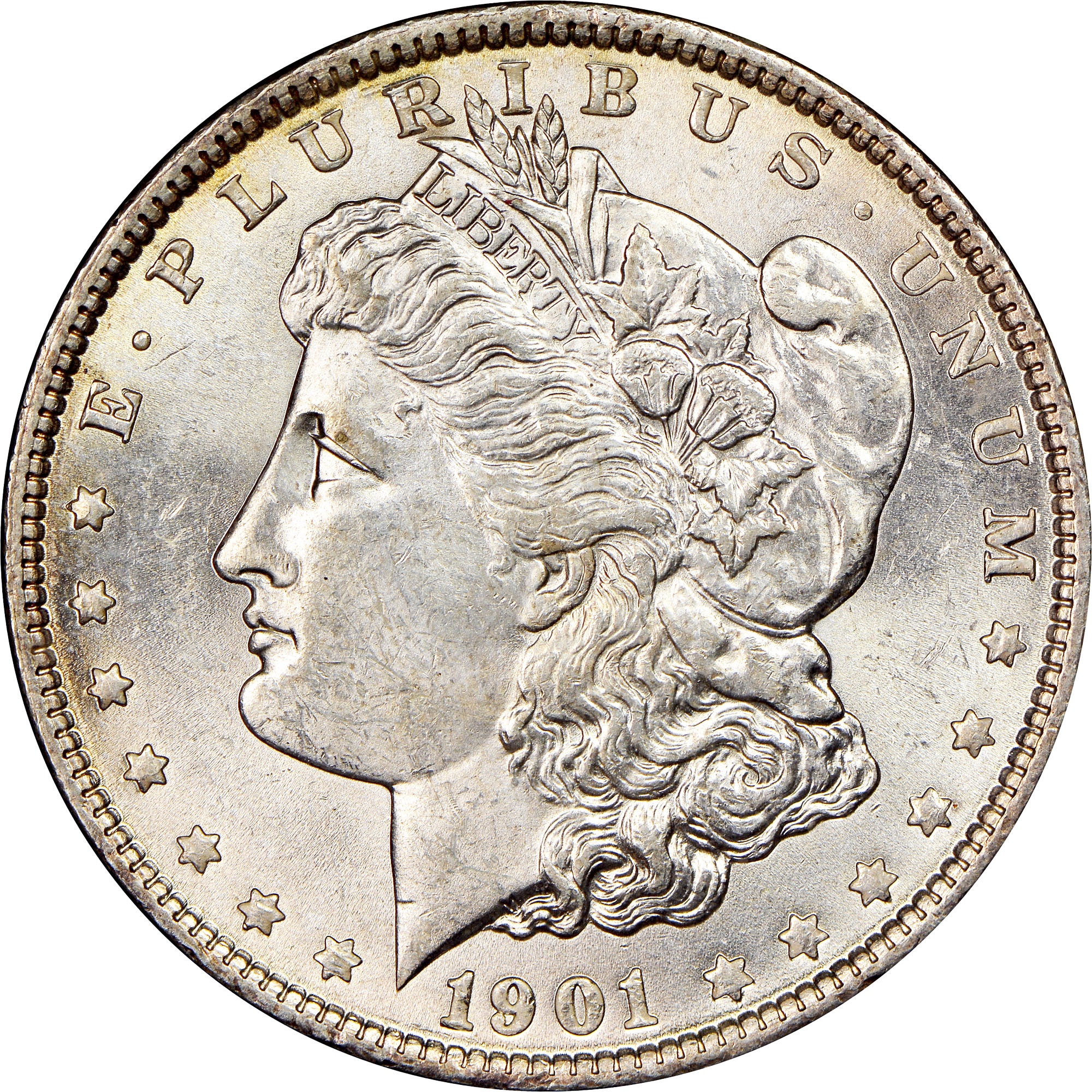 1901 1 MS Morgan Dollars NGC 1901 1 MS Morgan Dollars NGC
