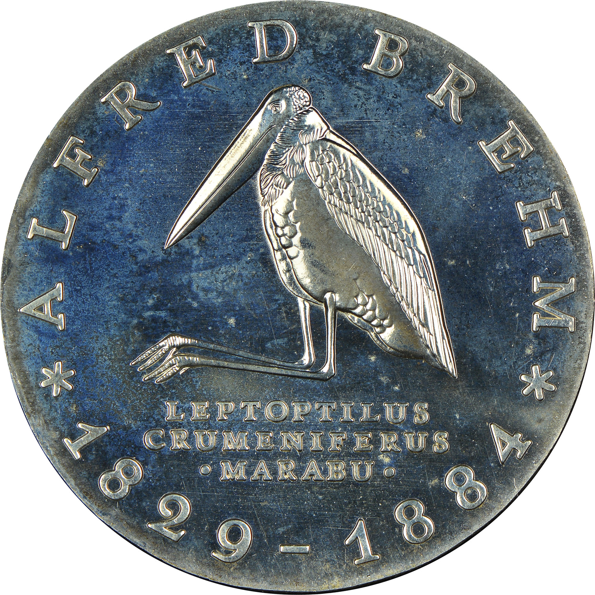 Germany - Democratic Republic 10 Mark KM 99 Prices & Values | NGC