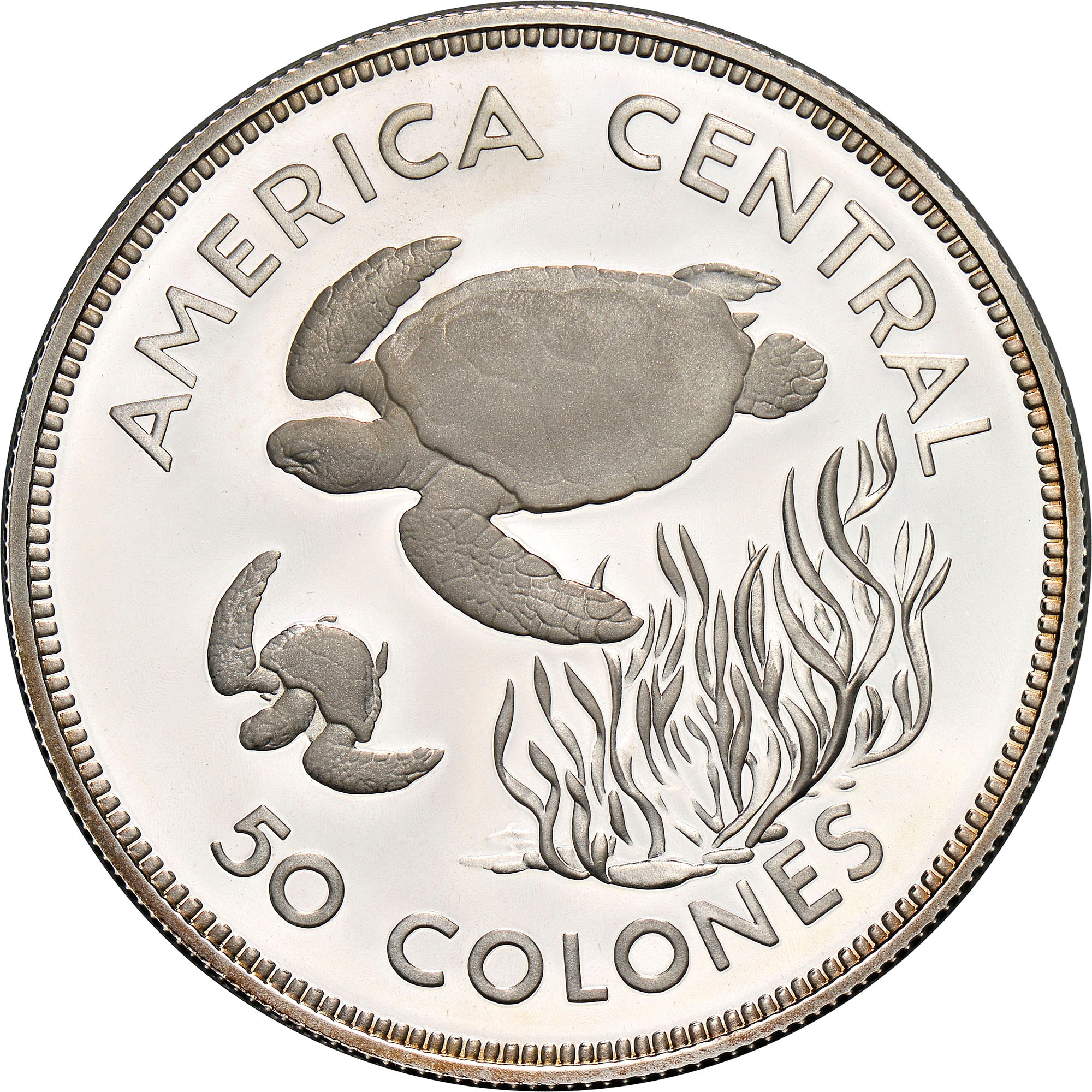 Costa Rica 50 Colones KM 200a Prices & Values | NGC