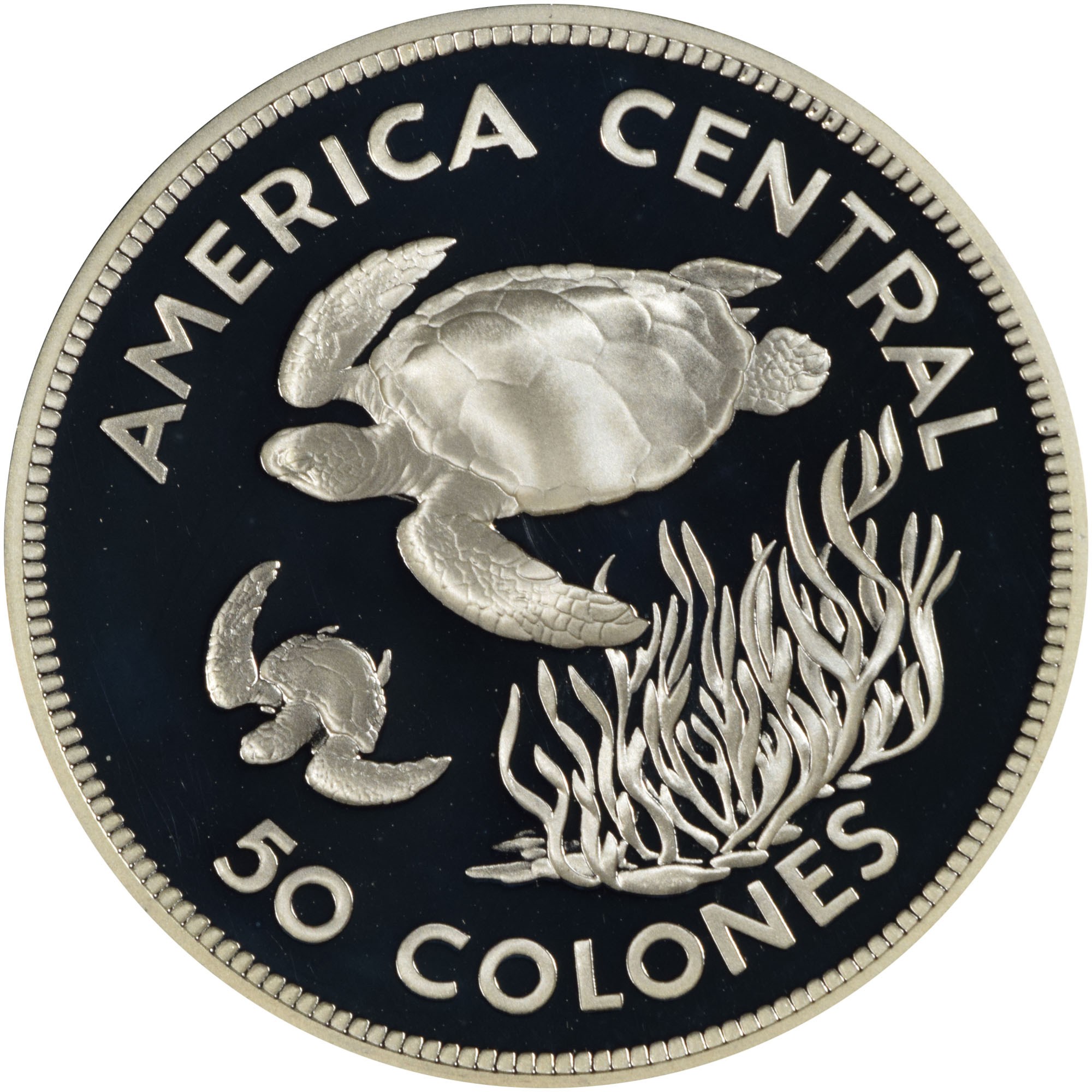 Costa Rica 50 Colones KM 200a Prices & Values | NGC