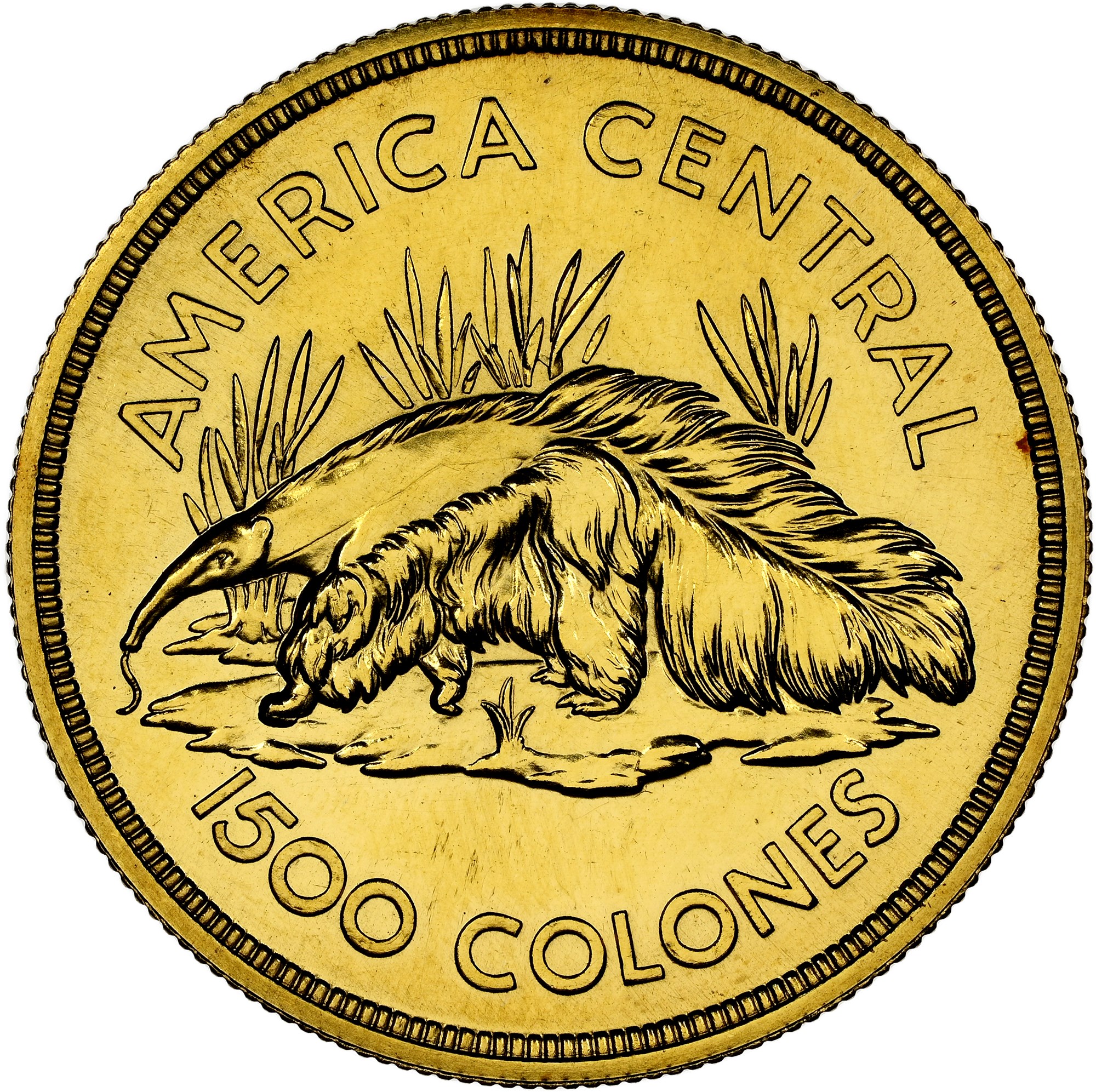 Costa Rica 1500 Colones KM 202 Prices & Values | NGC