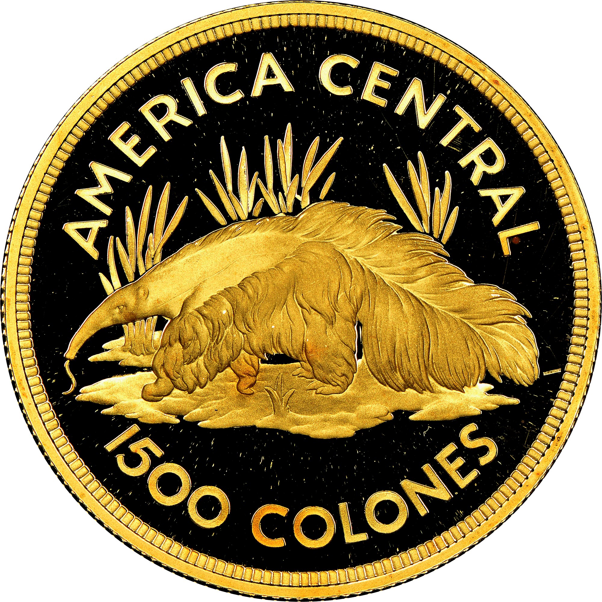 Costa Rica 1500 Colones KM 202 Prices & Values | NGC