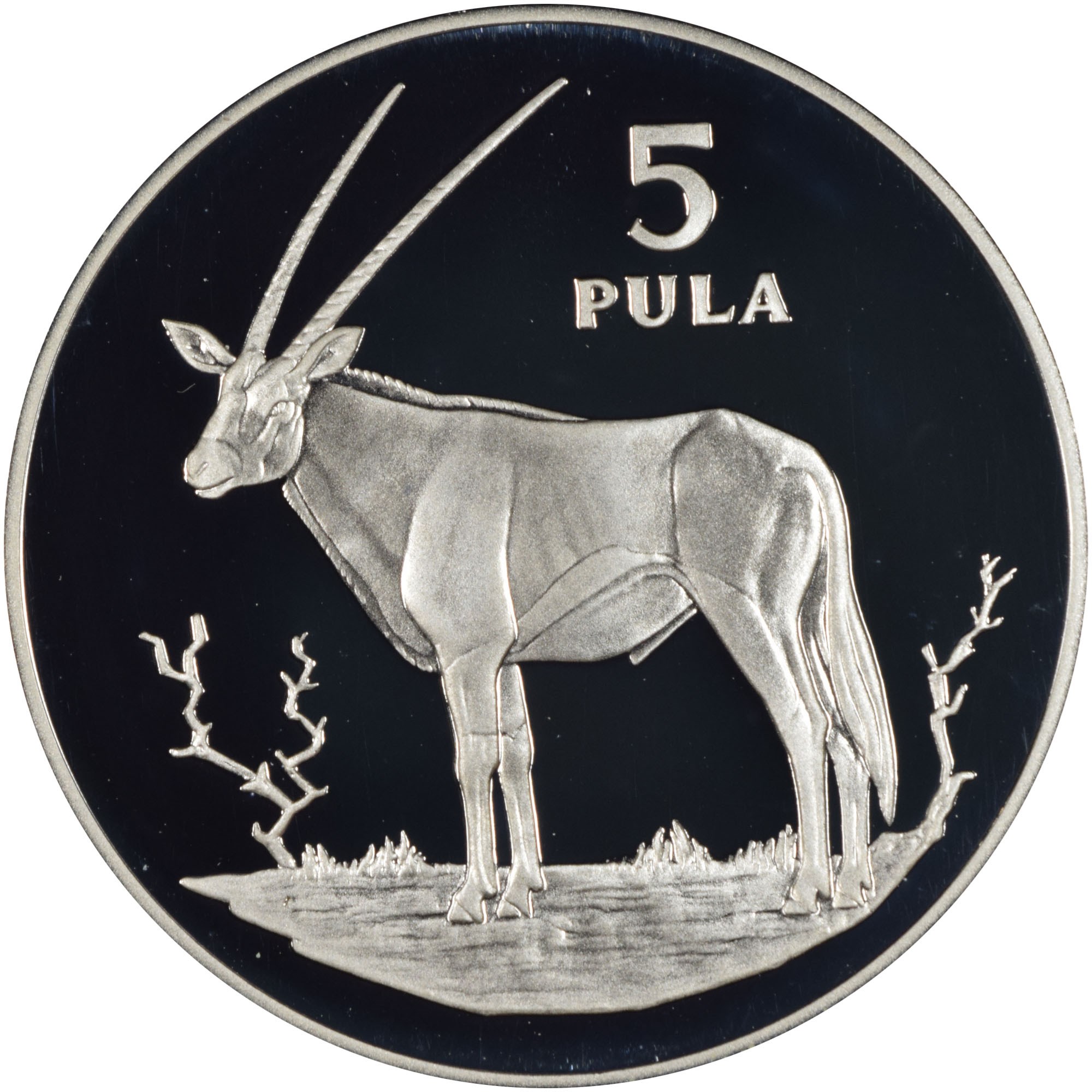 Botswana 5 Pula KM 11a Prices & Values | NGC