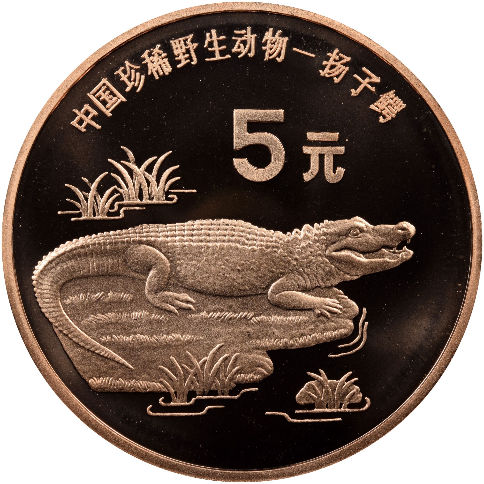 China - People'S Republic 5 Yuan KM 1122 Prices & Values | NGC