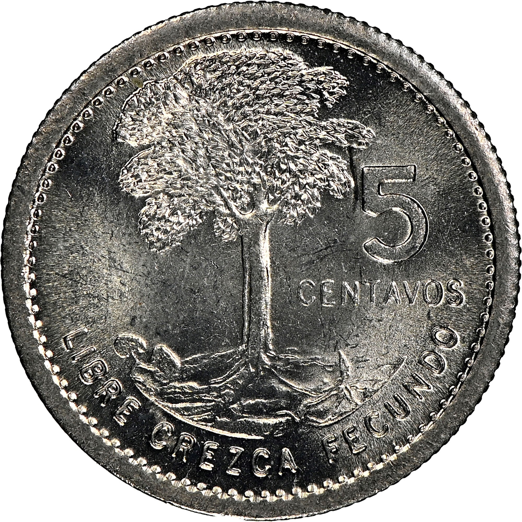 Guatemala 5 Centavos KM 276.2 Prices & Values | NGC