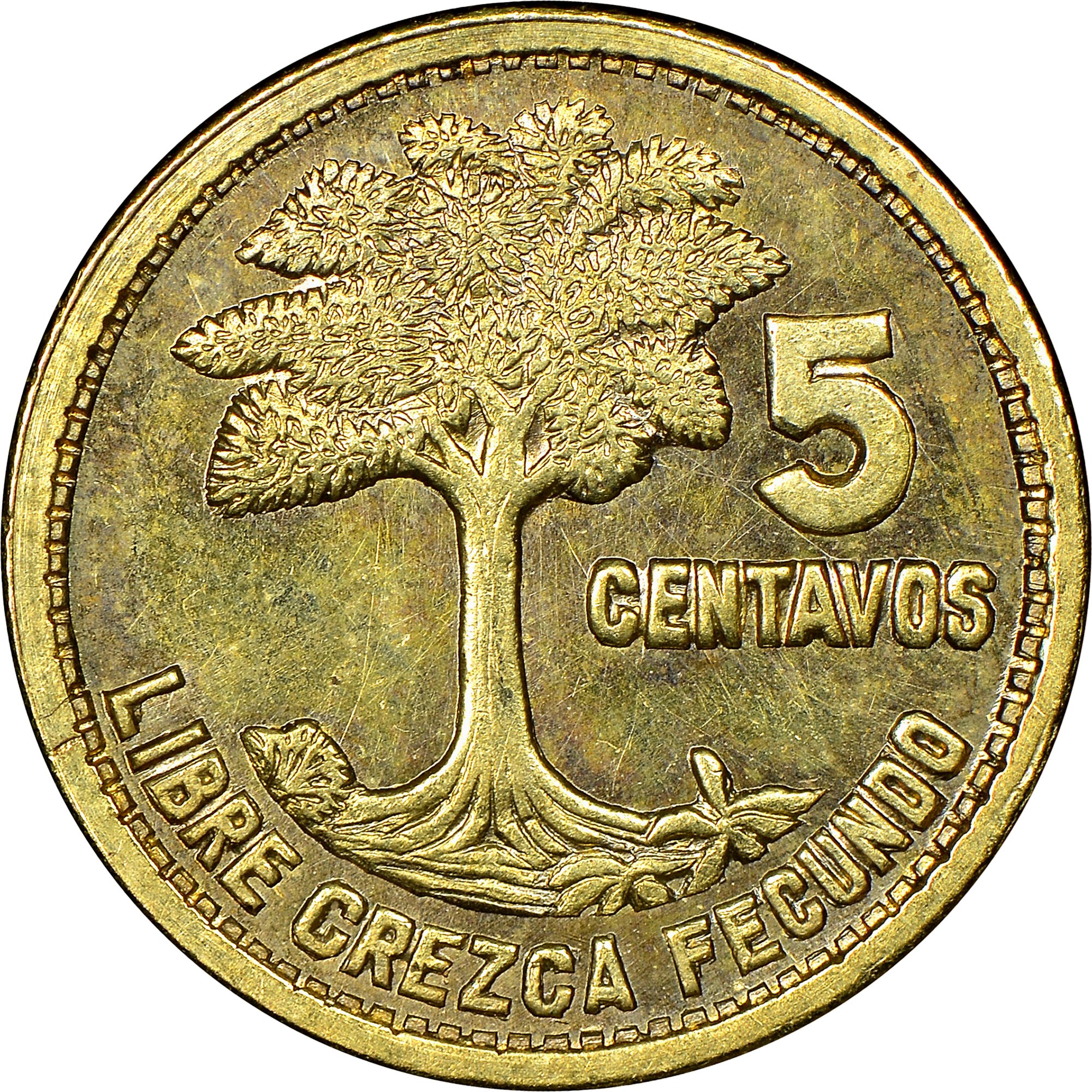 Guatemala 5 Centavos KM 257.1a Prices & Values | NGC