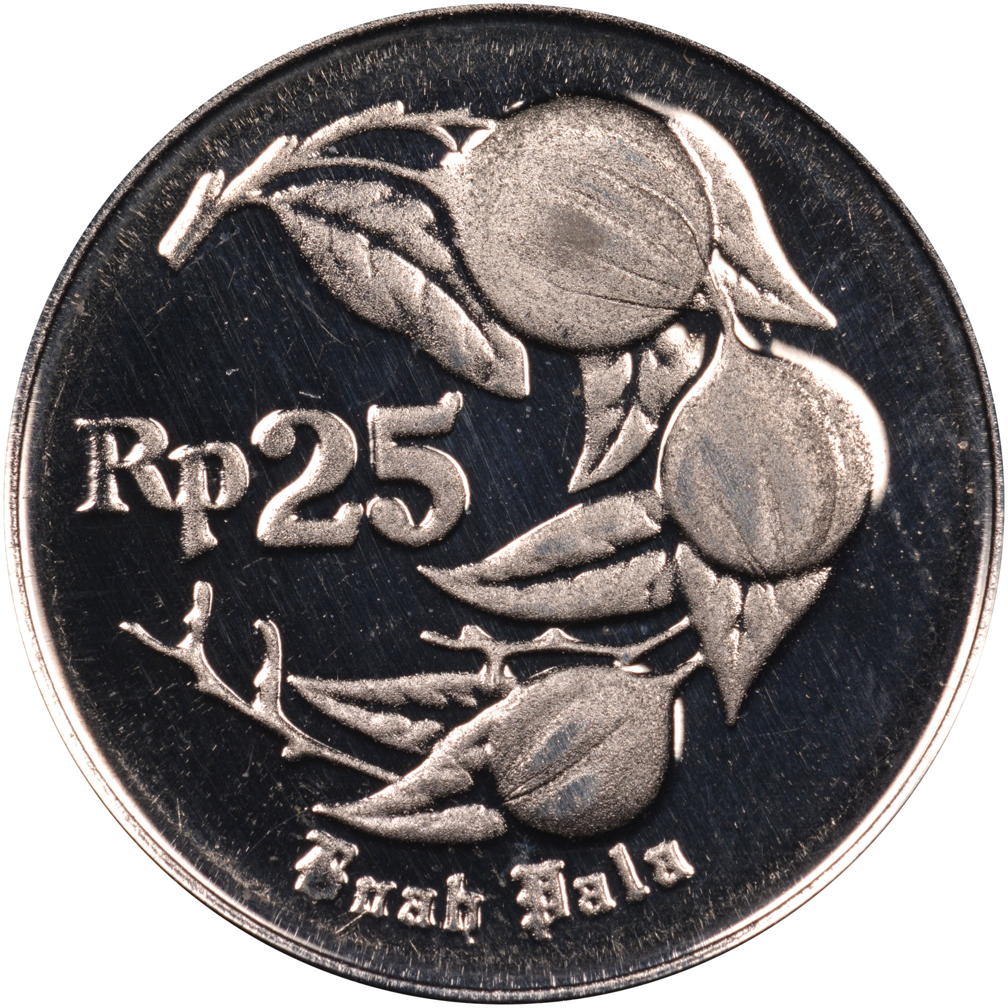 Indonesia 25 Rupiah KM 55 Prices & Values | NGC