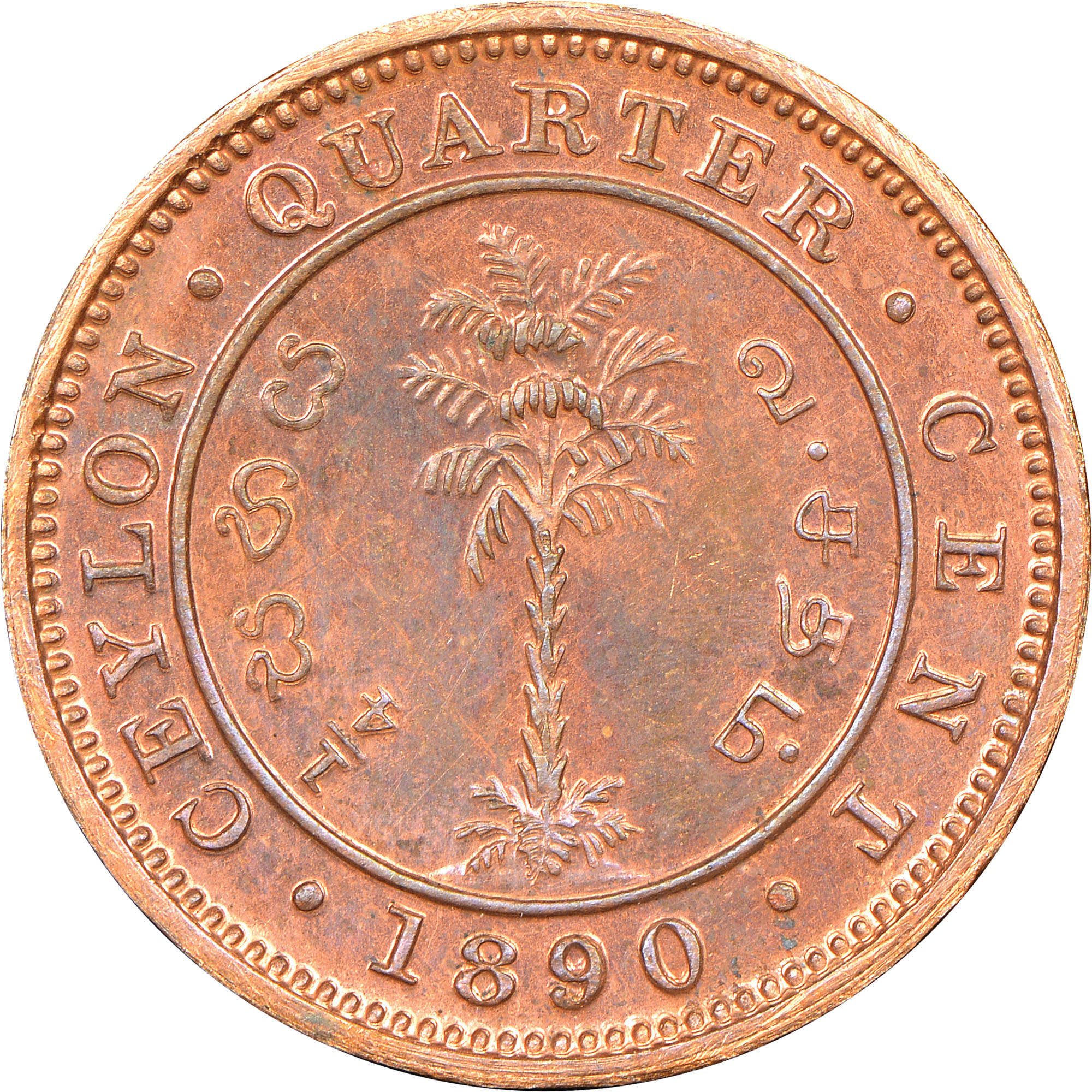 Ceylon 1/4 Cent KM 90 Prices & Values | NGC