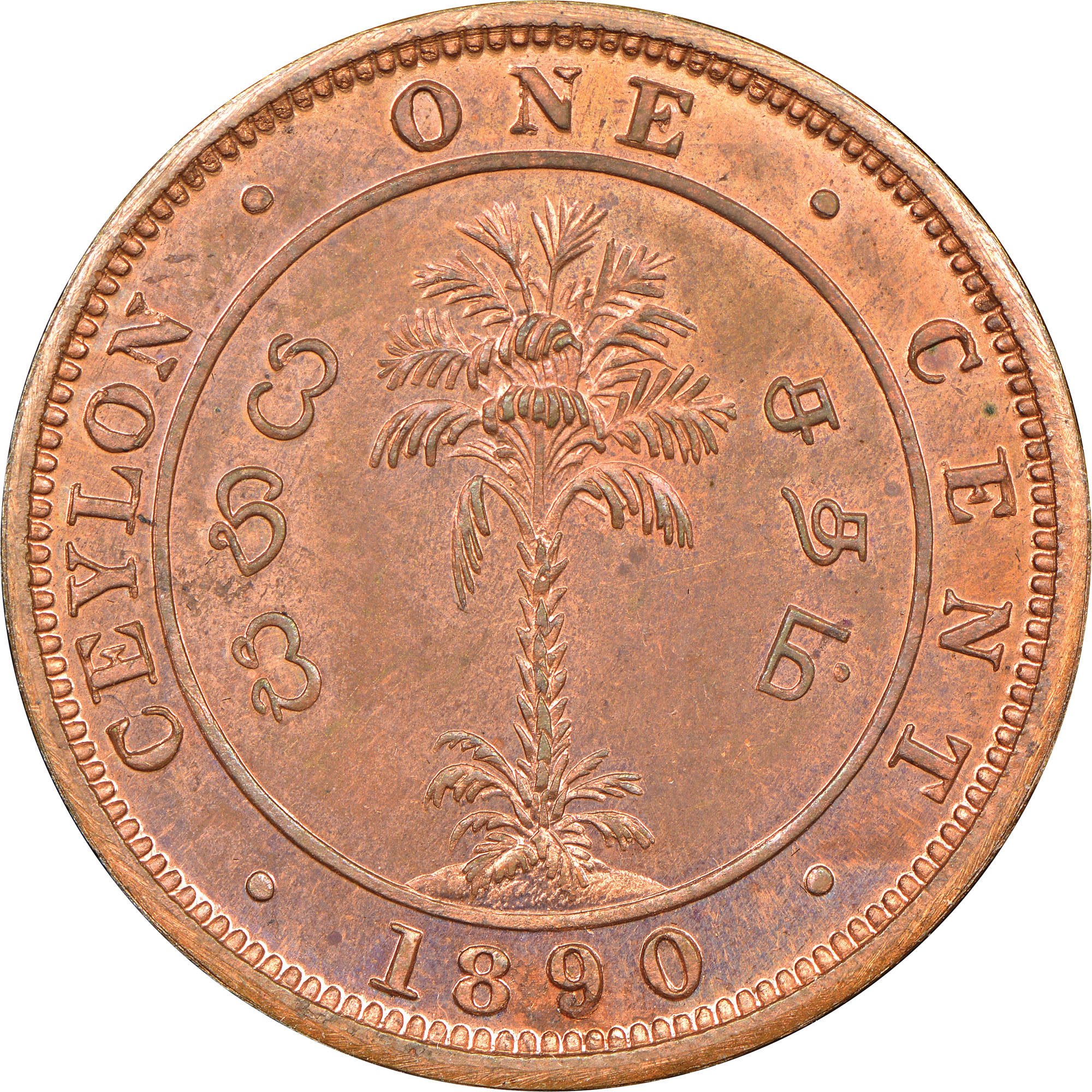Ceylon Cent KM 92 Prices & Values | NGC