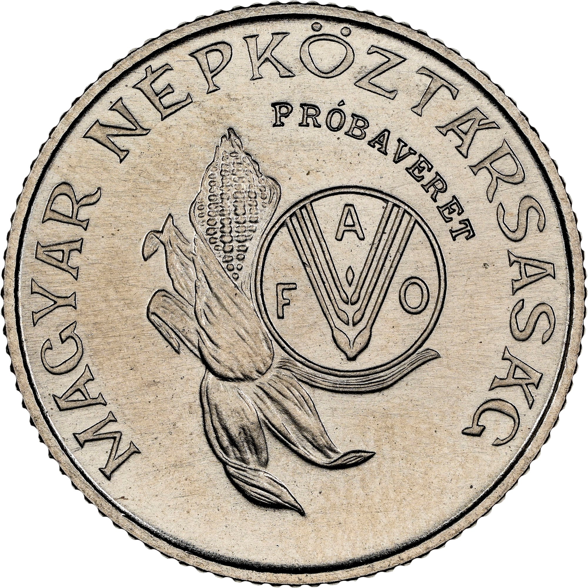 Hungary 5 Forint KM 628 Prices & Values | NGC