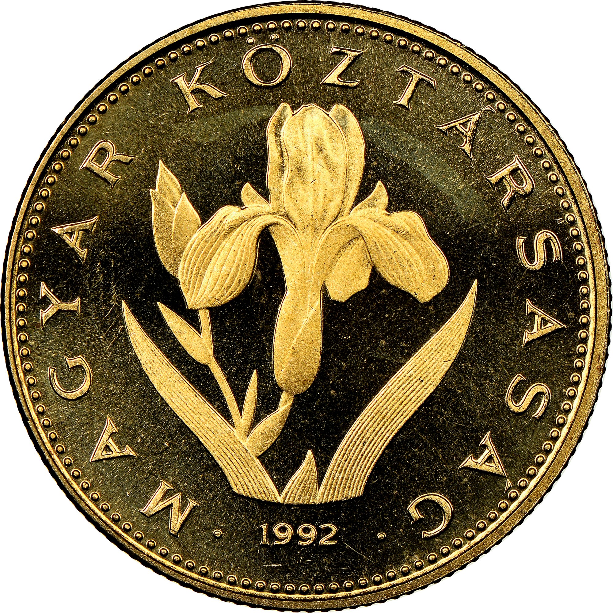 Hungary 20 Forint KM 696 Prices & Values | NGC