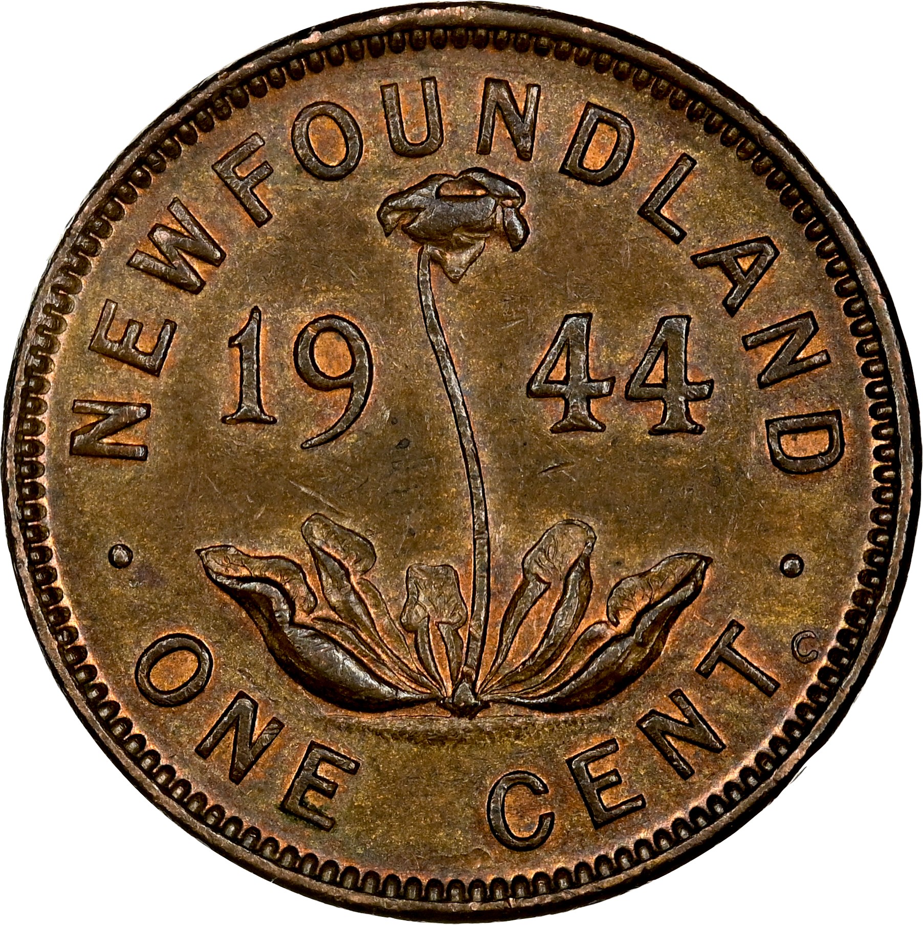 Canada NEWFOUNDLAND Small Cent KM 18 Prices & Values | NGC