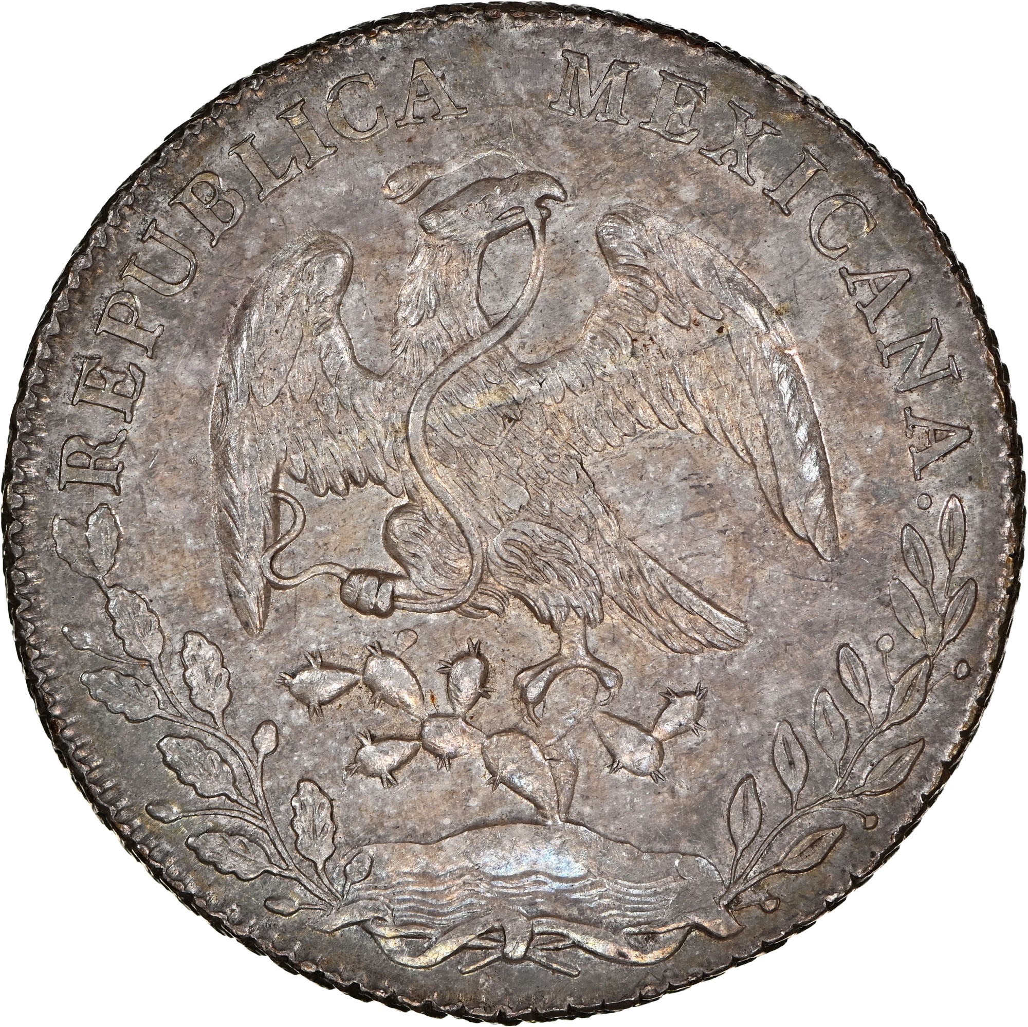 Mexico FIRST REPUBLIC 8 Reales KM 377.10 Prices & Values | NGC