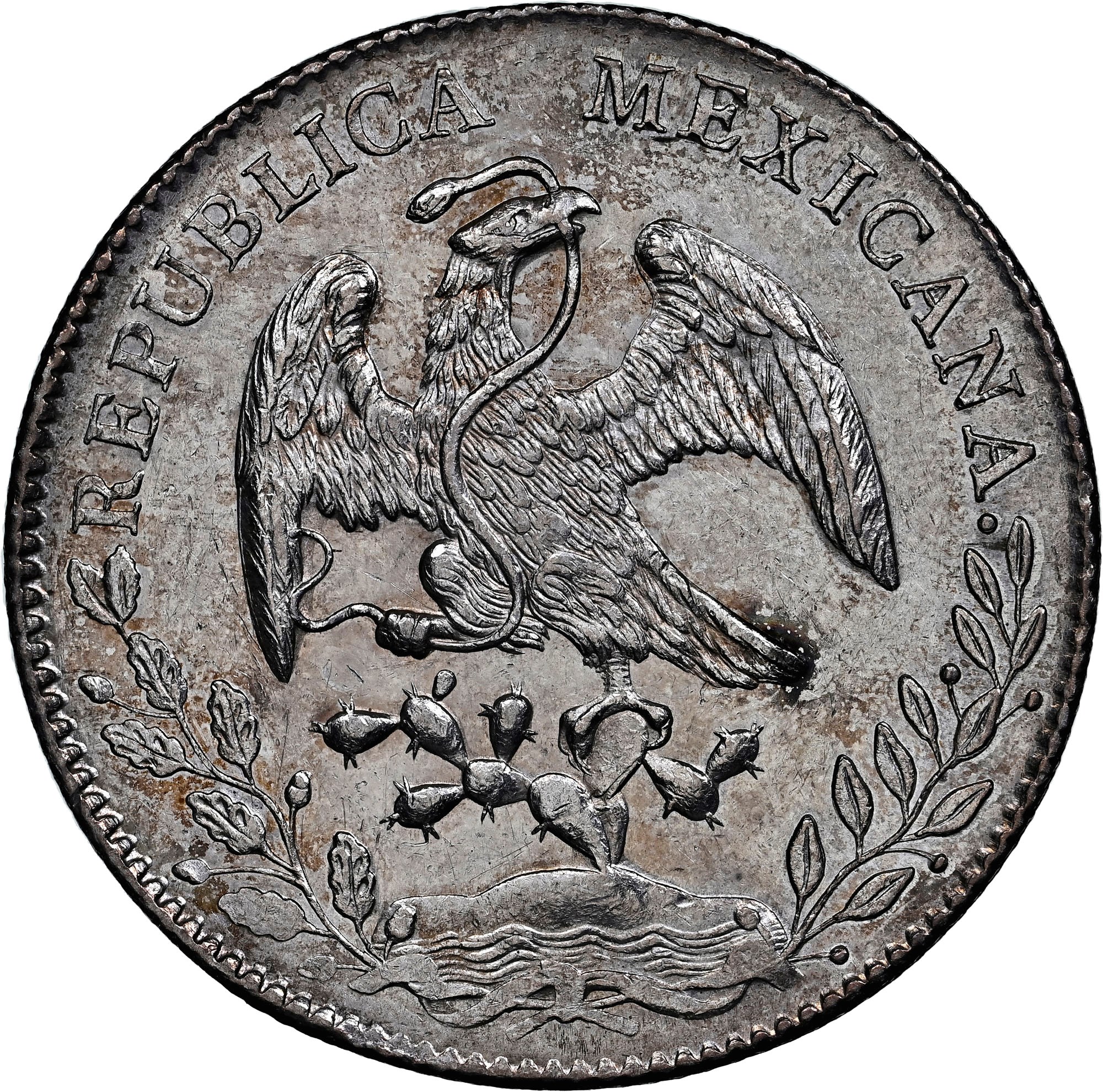 Mexico FIRST REPUBLIC 8 Reales KM 377.13 Prices & Values | NGC