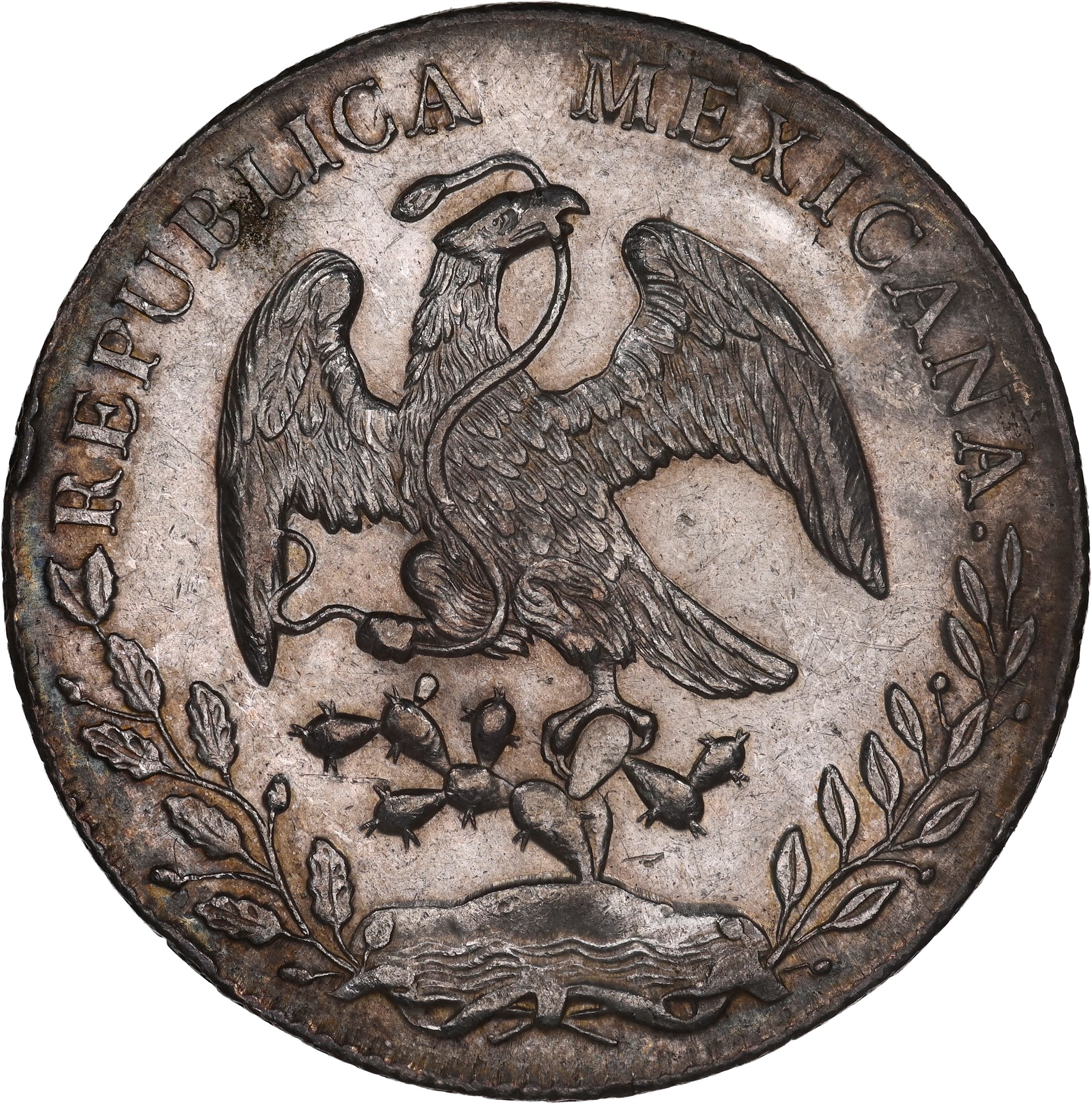 Mexico FIRST REPUBLIC 8 Reales KM 377.6 Prices & Values | NGC