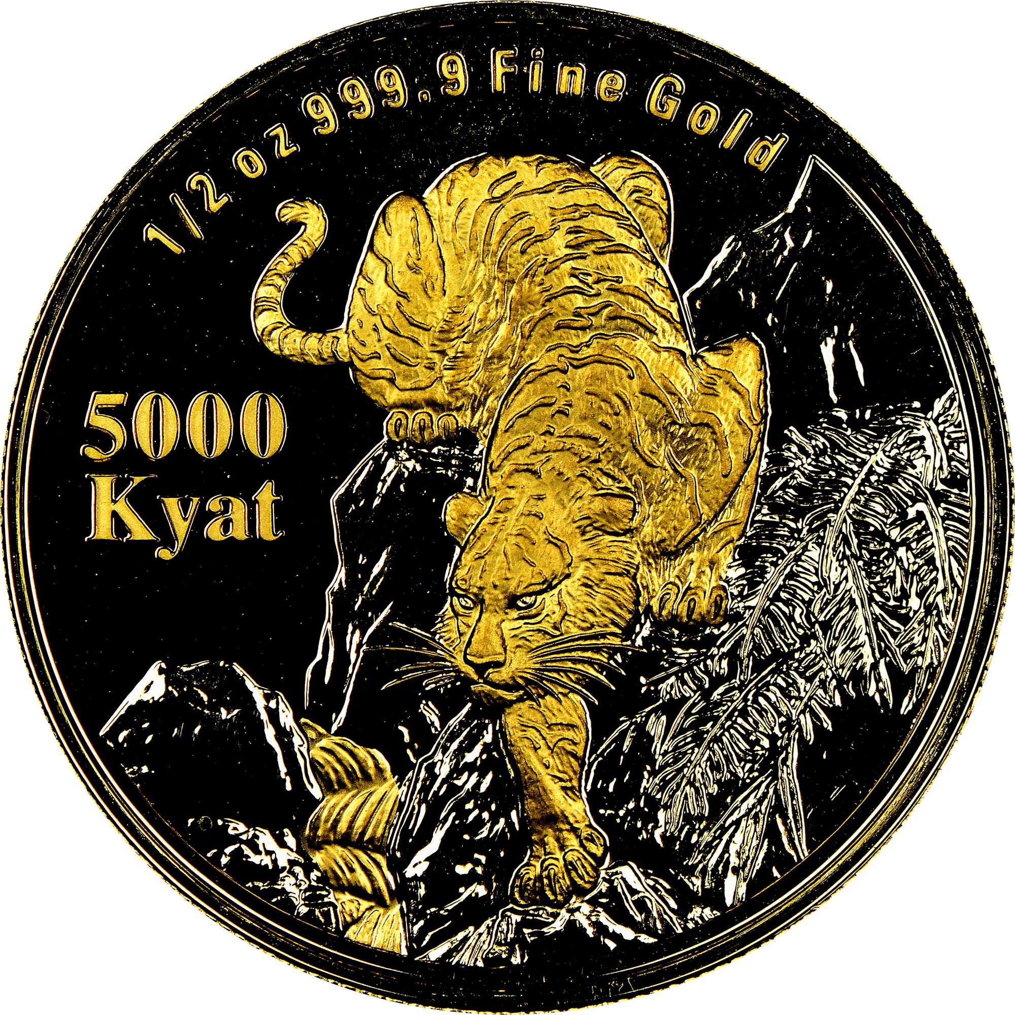 Myanmar 5000 Kyat KM 56 Prices & Values | NGC
