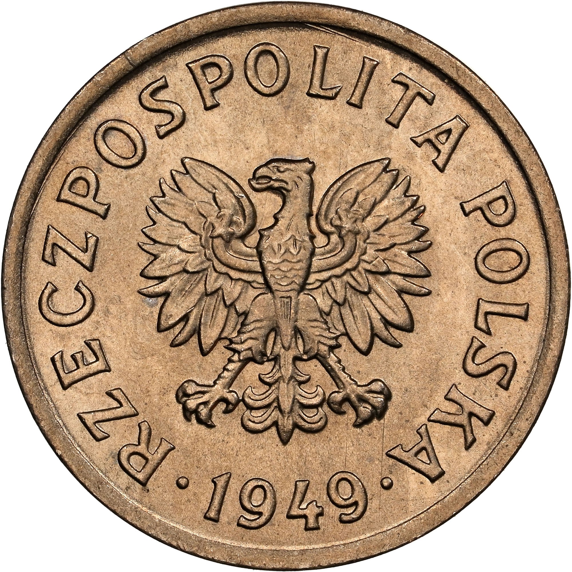 Poland 10 Groszy Y 42 Prices & Values | NGC