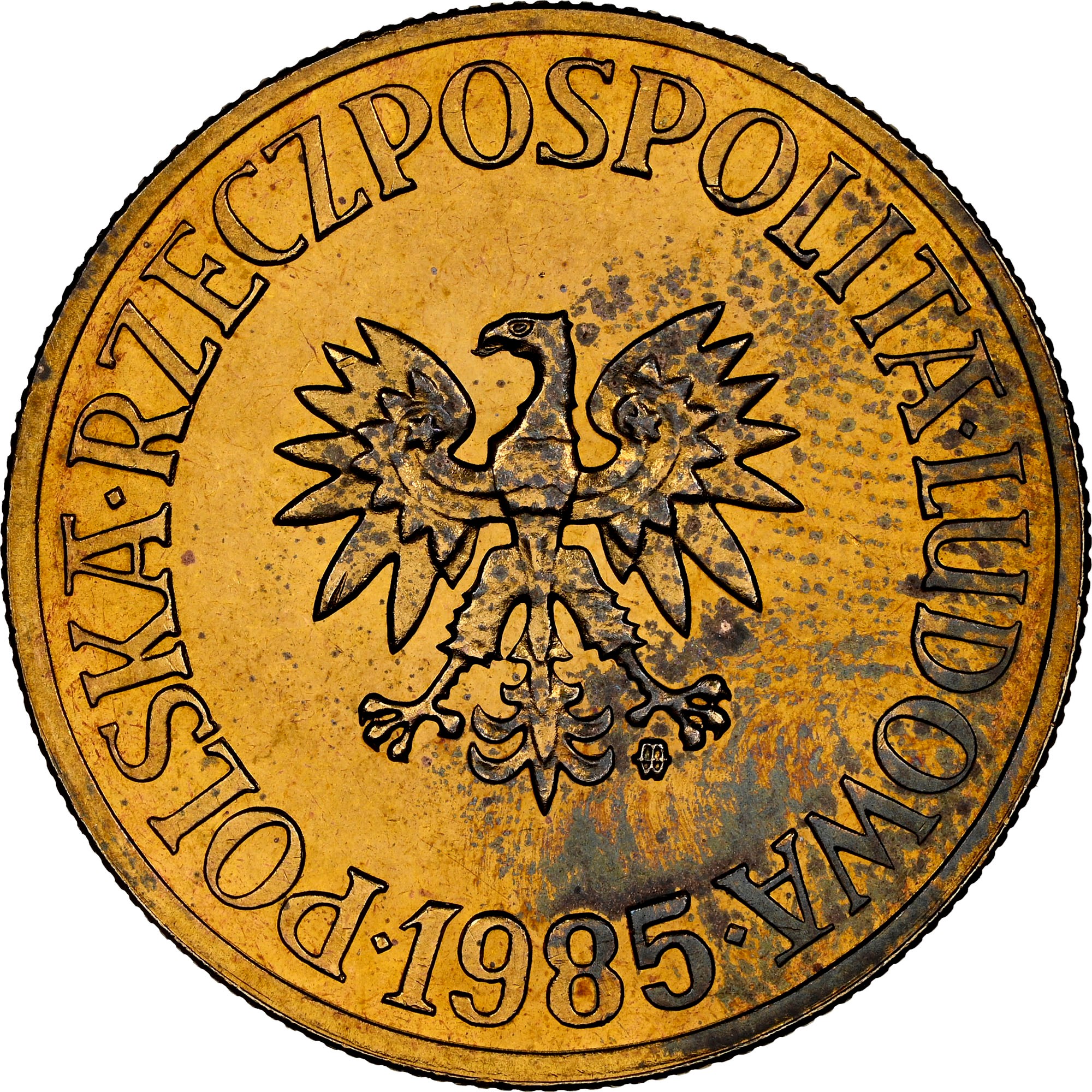 Poland 5 Złotych Y 81.1 Prices & Values | NGC