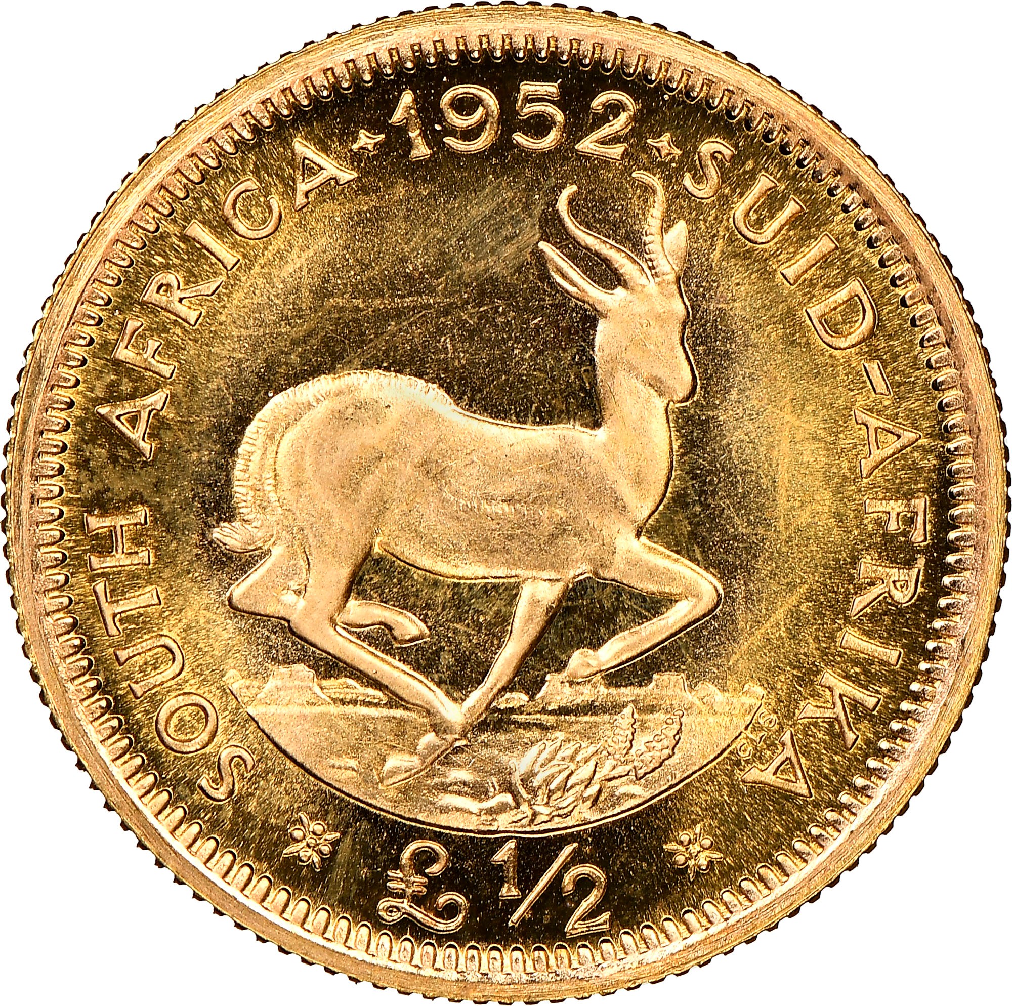 South Africa 1/2 Pound KM 42 Prices & Values | NGC