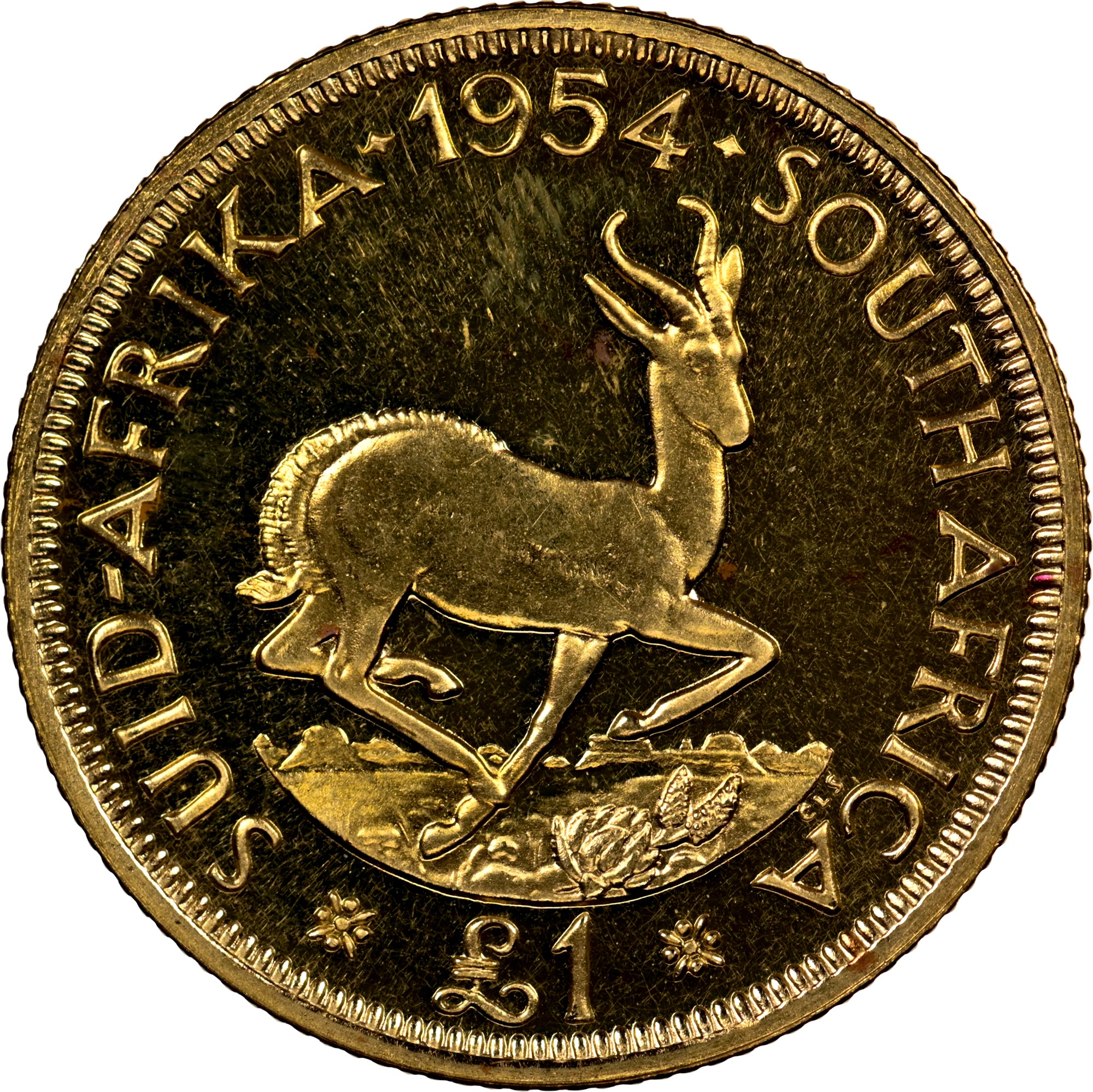 South Africa Pound KM 54 Prices & Values | NGC