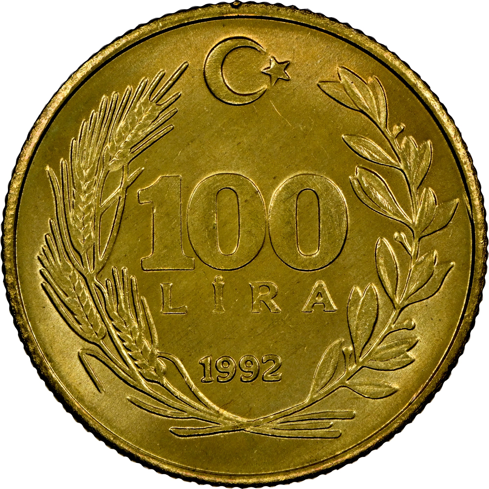Turkey 100 Lira KM 988 Prices & Values | NGC