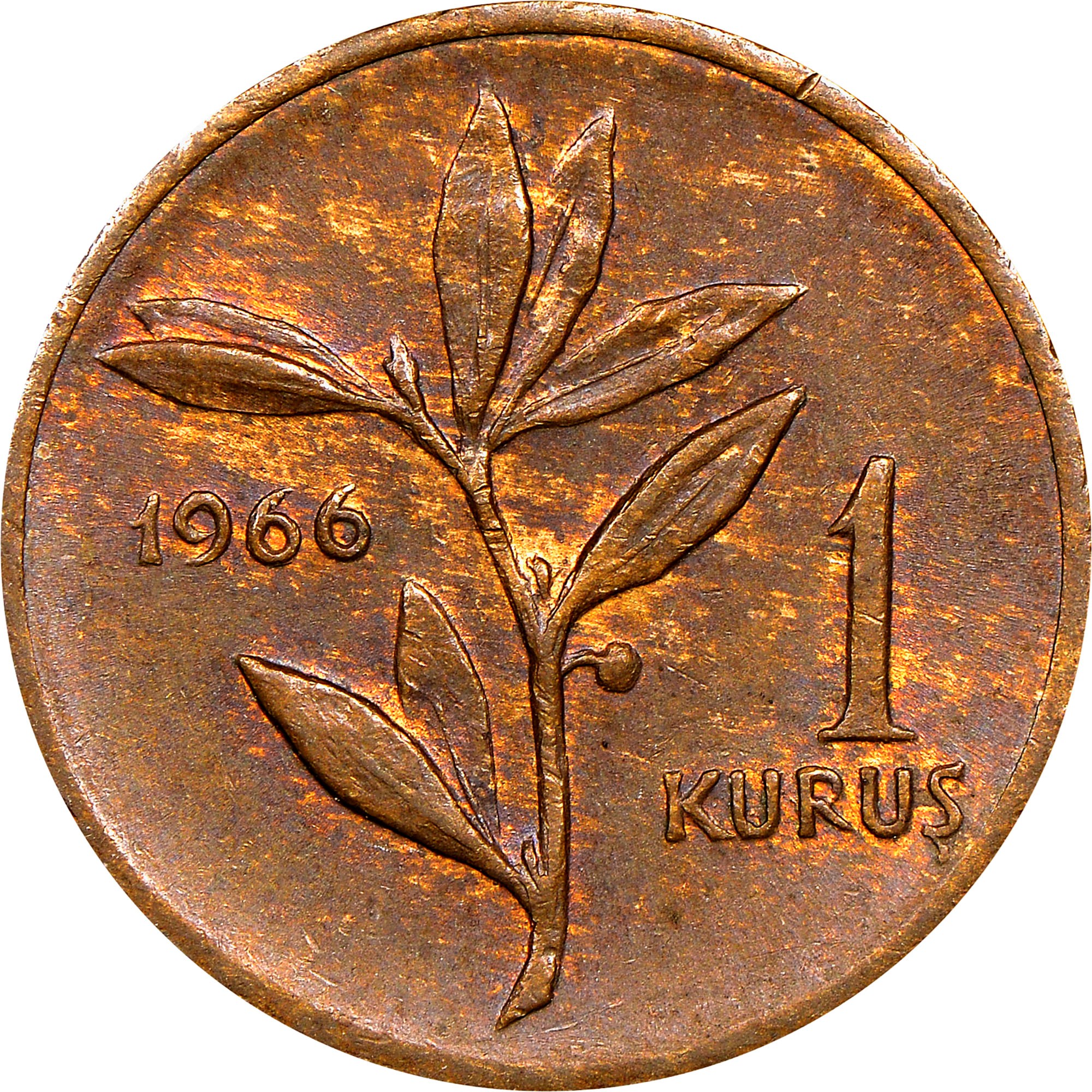 Turkey Kurus KM 895a Prices & Values | NGC