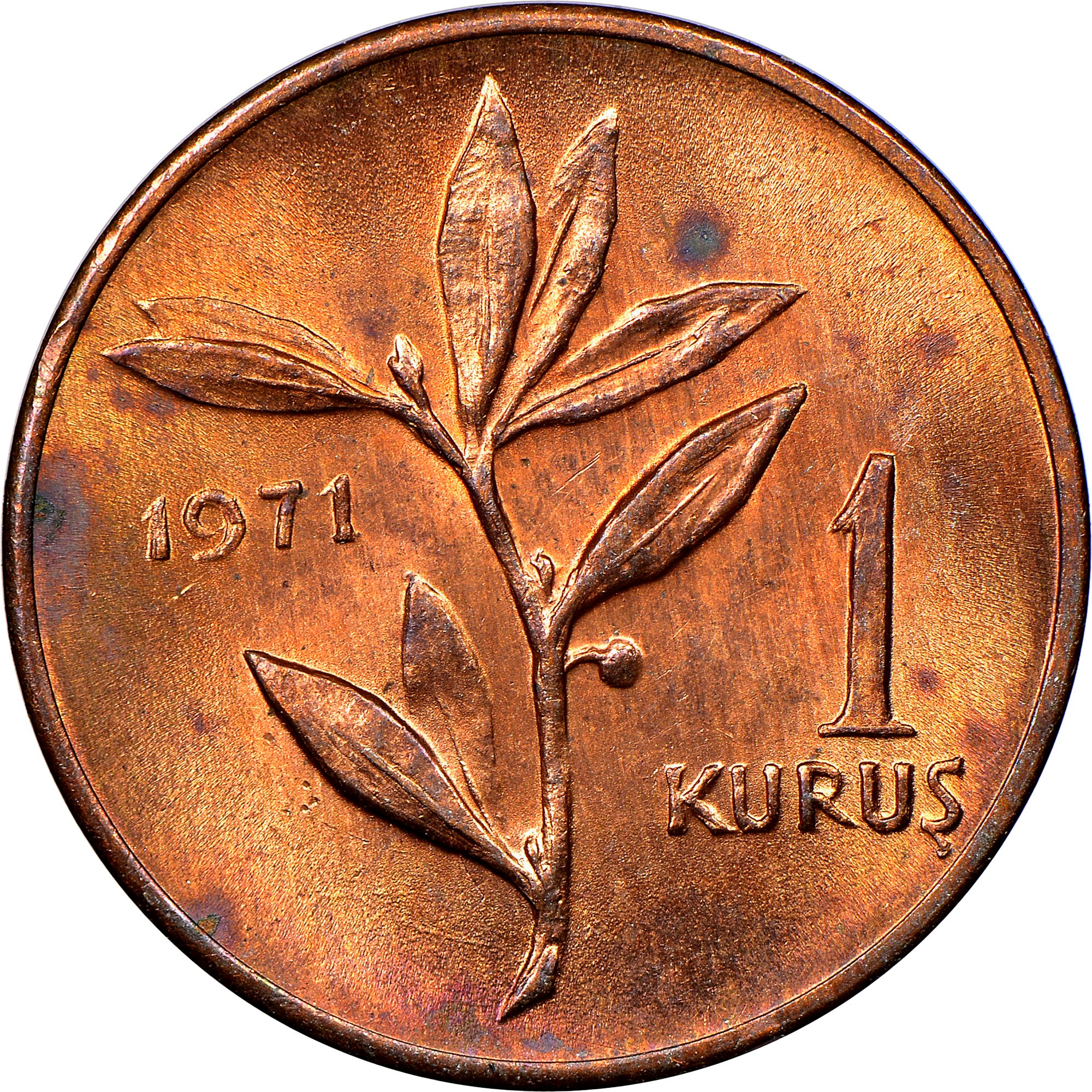 Turkey Kurus KM 895a Prices & Values | NGC