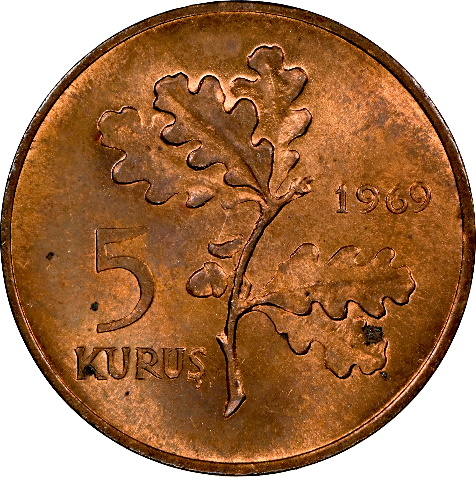 Turkey 5 Kurus KM 890.2 Prices & Values | NGC