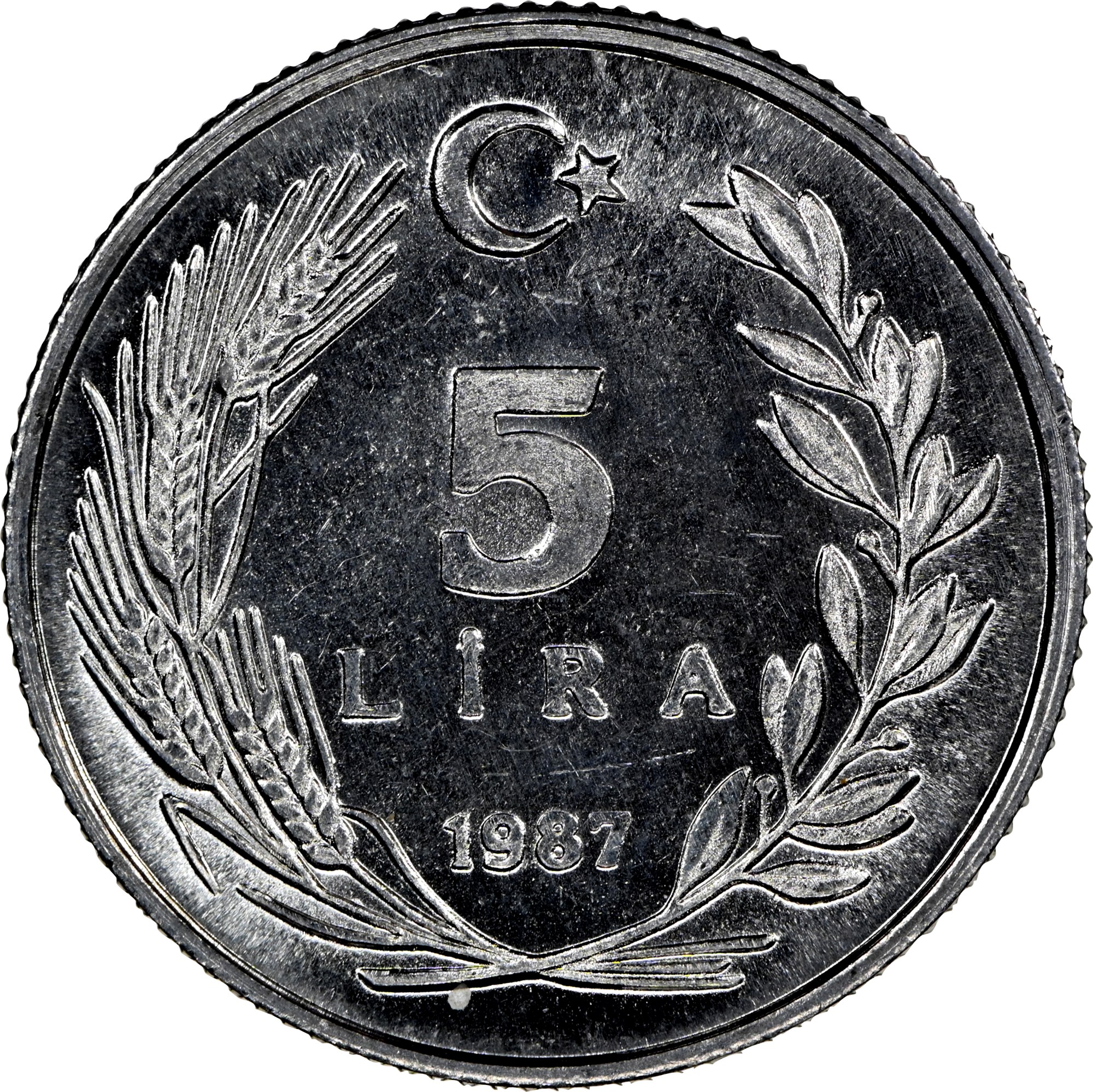 Turkey 5 Lira KM 963 Prices & Values | NGC