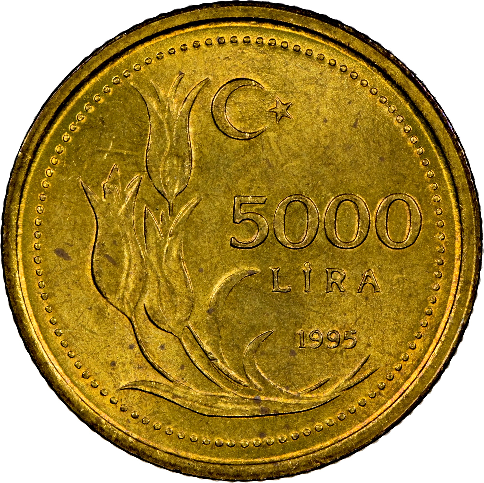 Turkey 5000 Lira KM 1029.1 Prices & Values | NGC