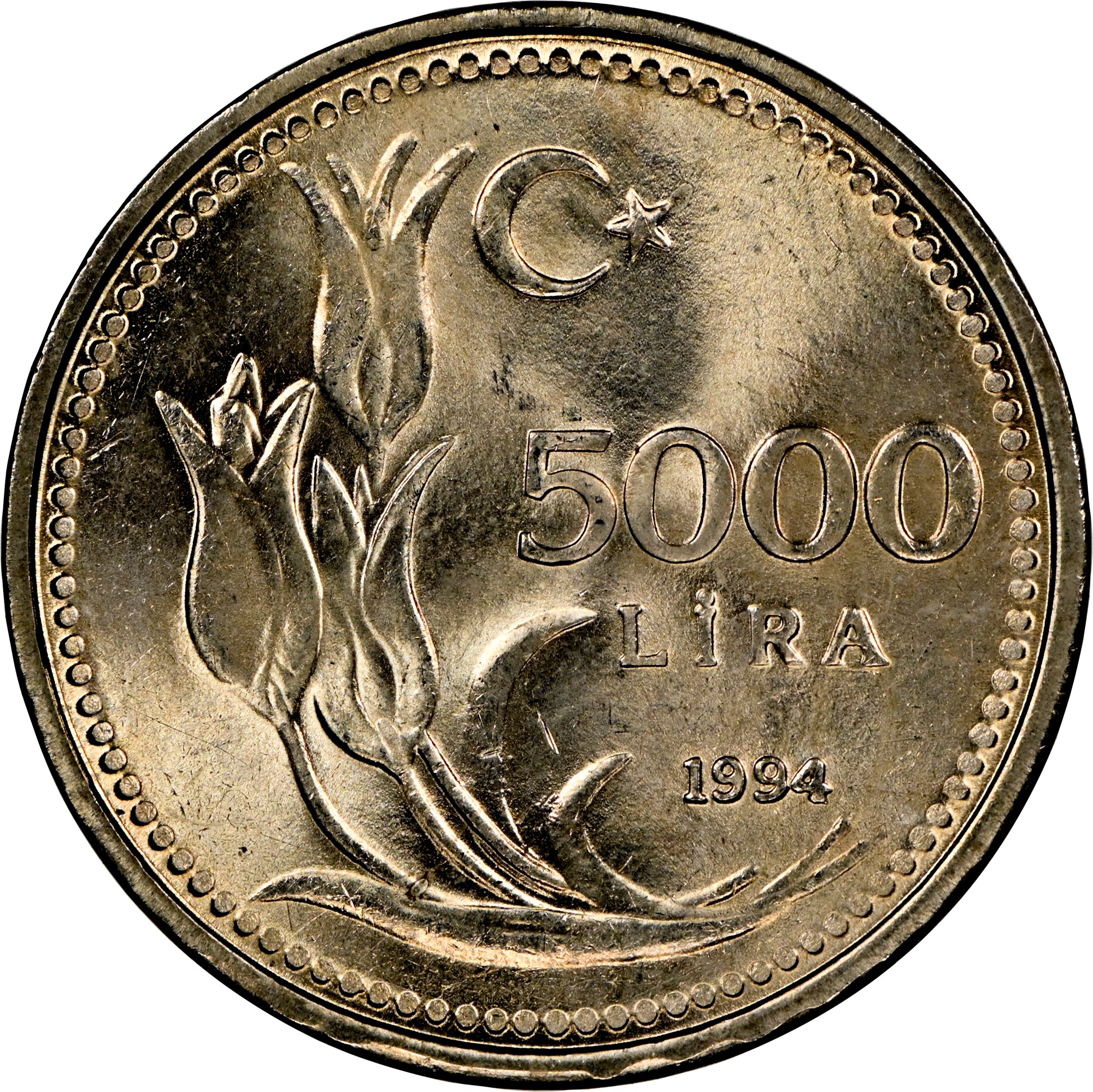 Turkey 5000 Lira KM 1025 Prices & Values | NGC