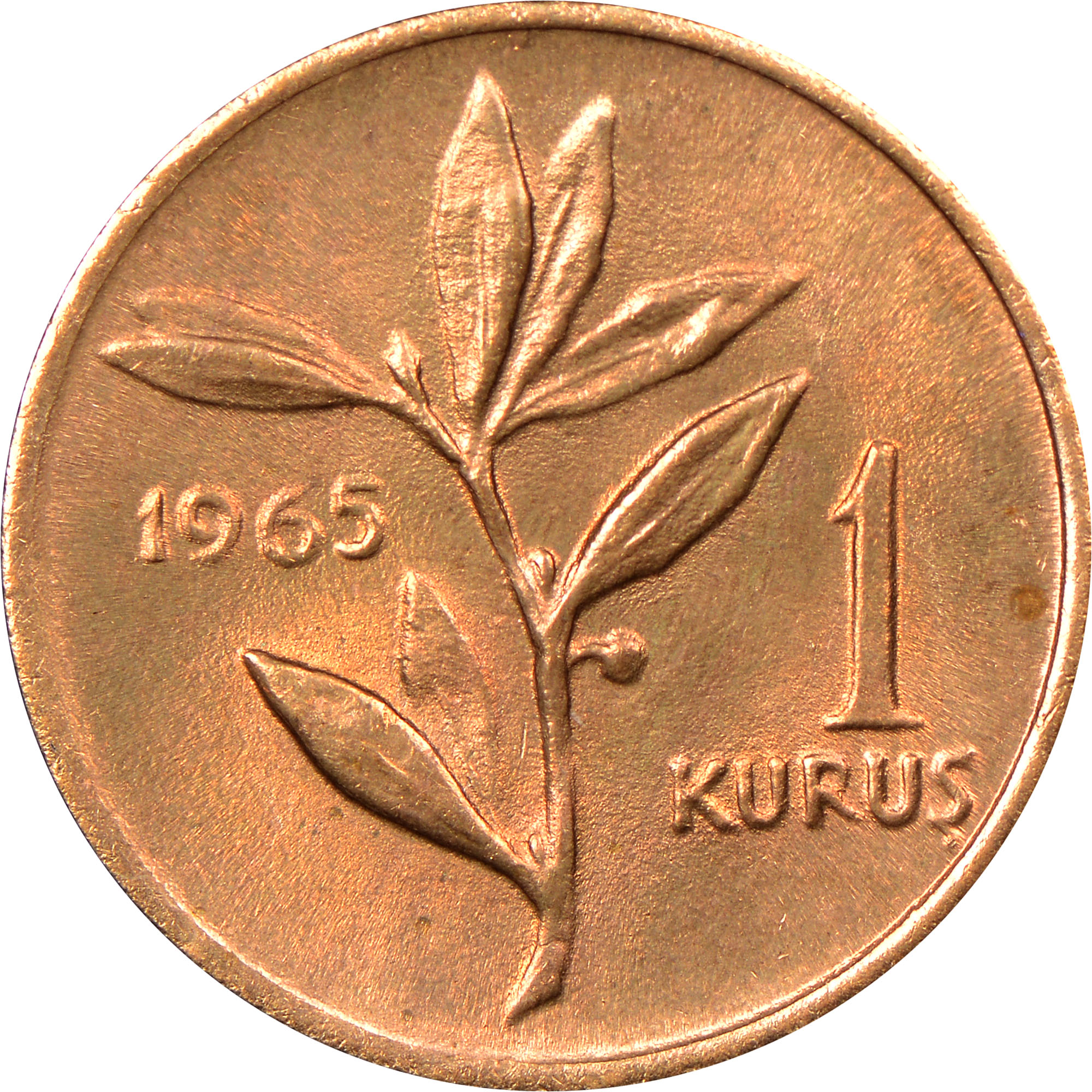 Turkey Kurus KM 895a Prices & Values | NGC