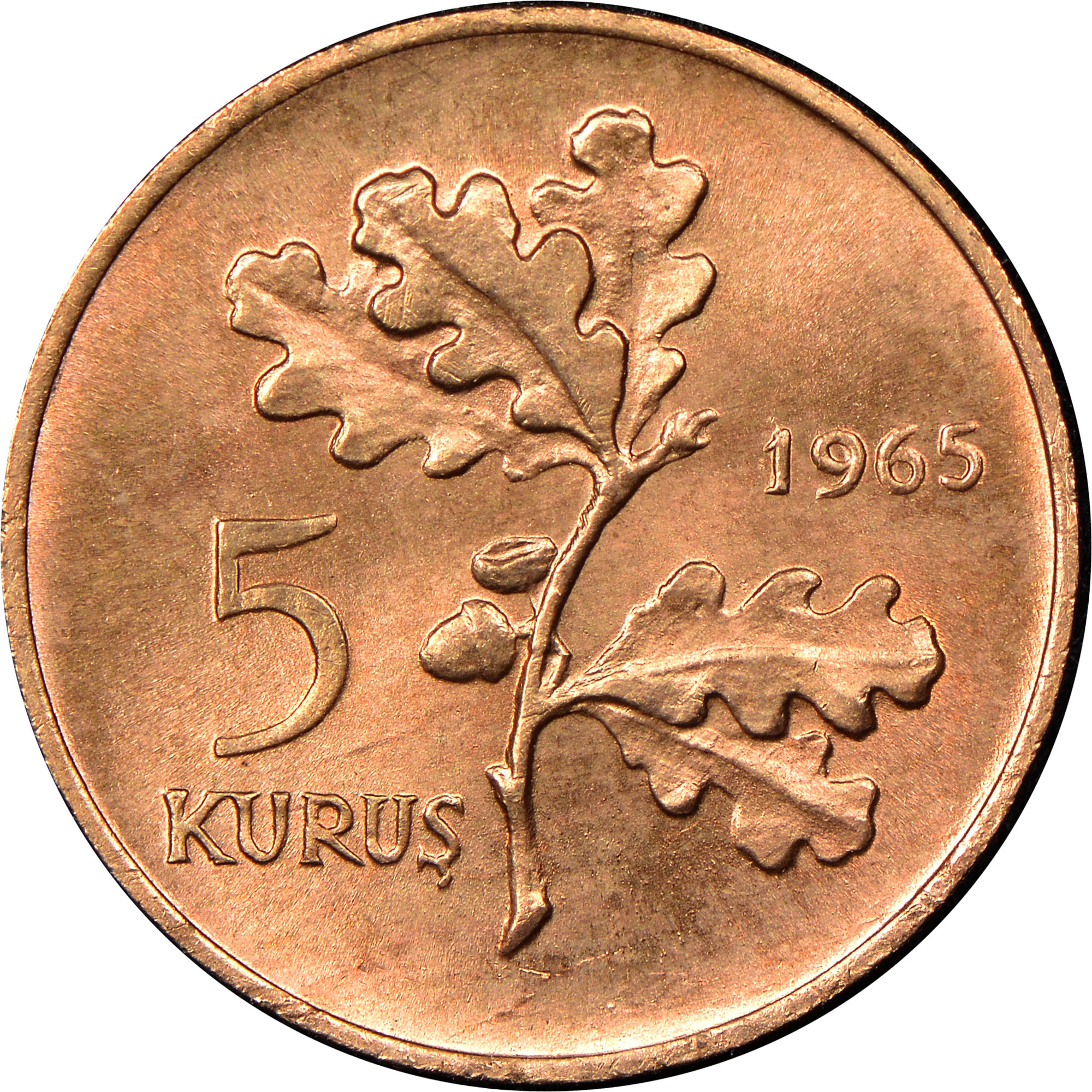 Turkey 5 Kurus KM 890.1 Prices & Values | NGC