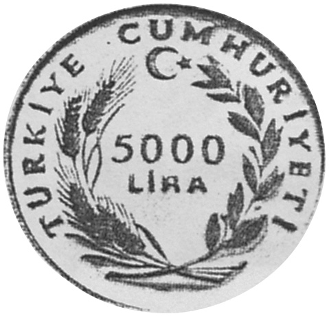Turkey 5000 Lira KM 977 Prices & Values | NGC