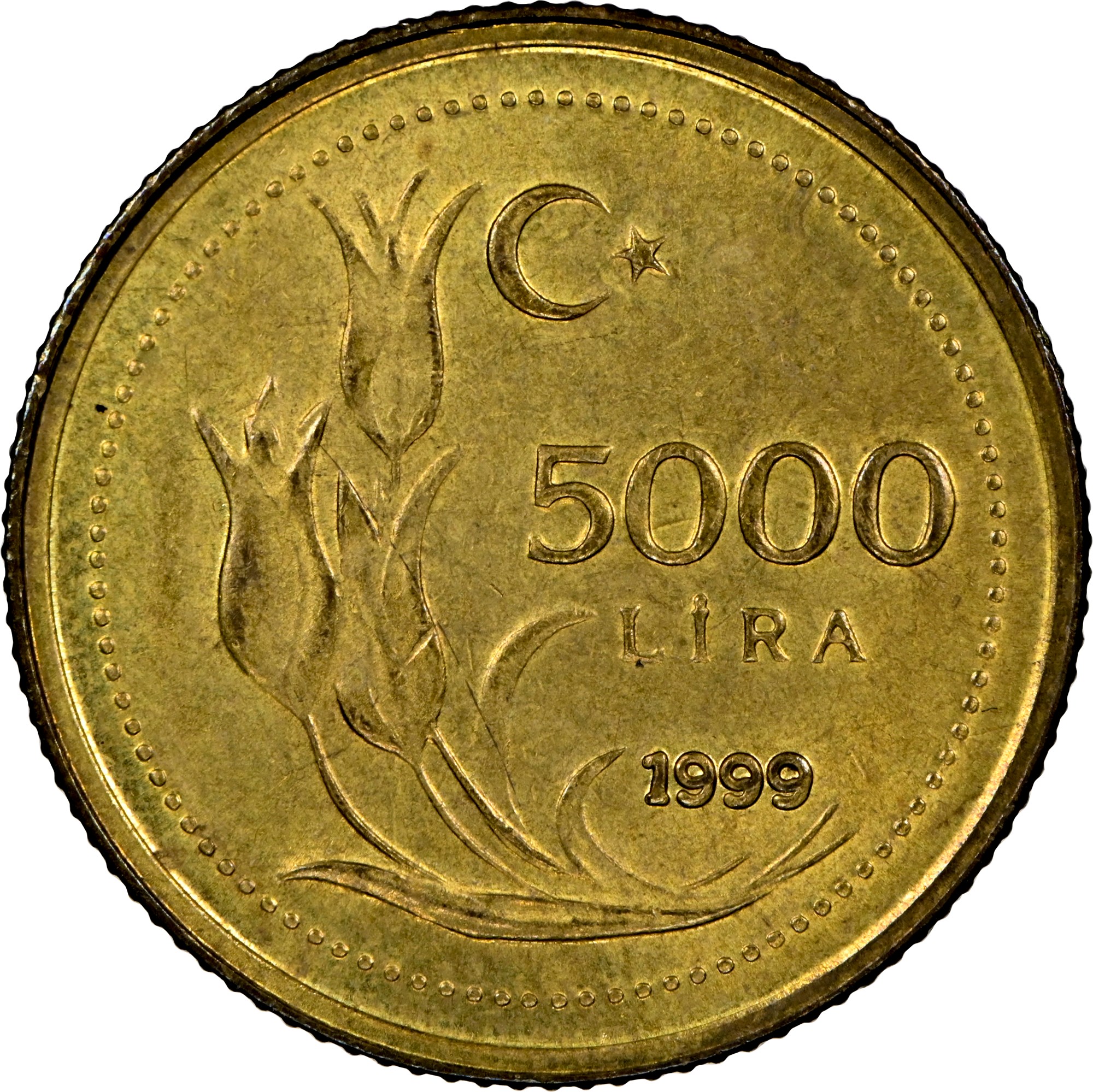 Turkey 5000 Lira KM 1029.2 Prices & Values | NGC