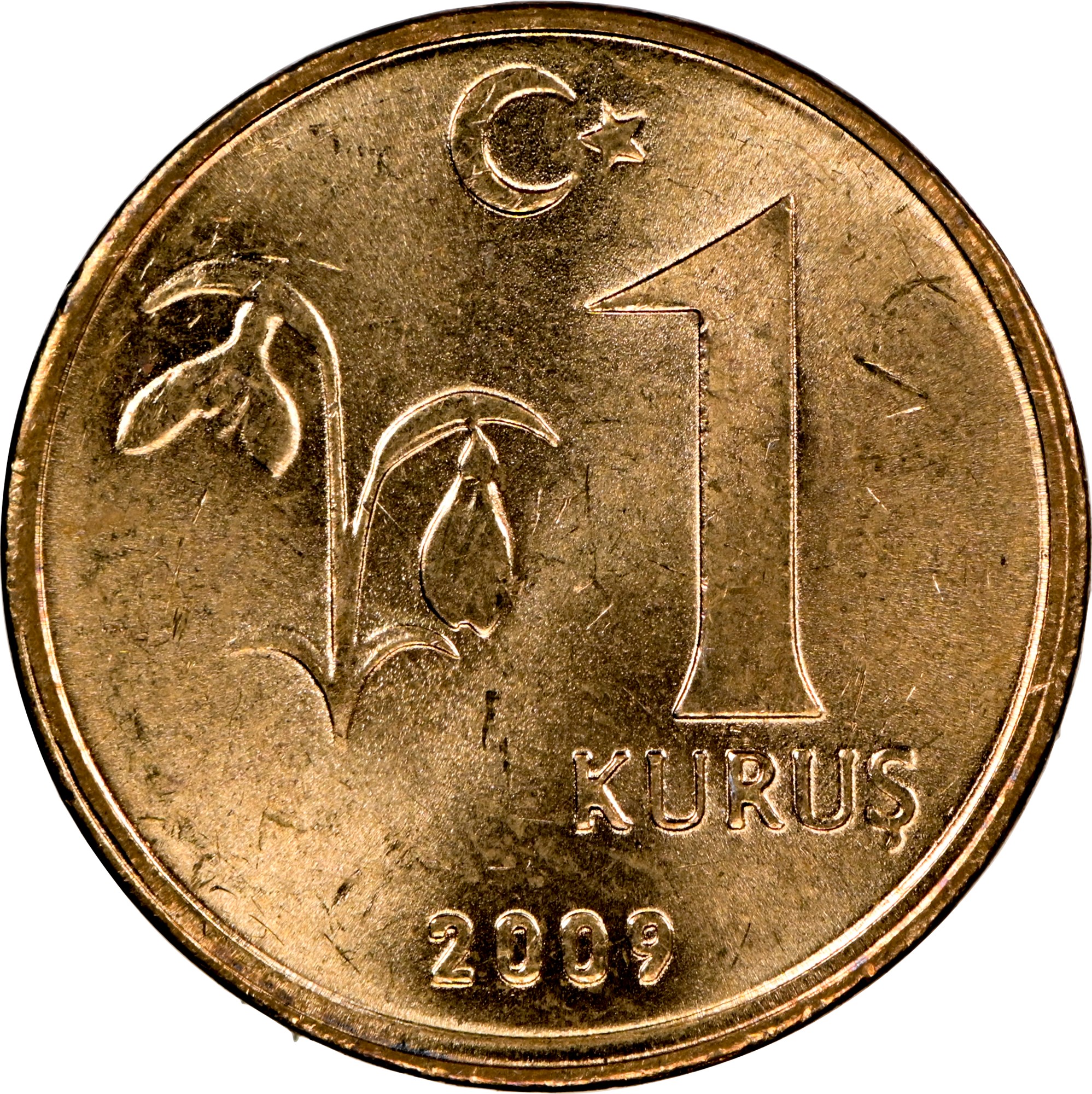 Turkey Kurus KM 1239 Prices & Values | NGC