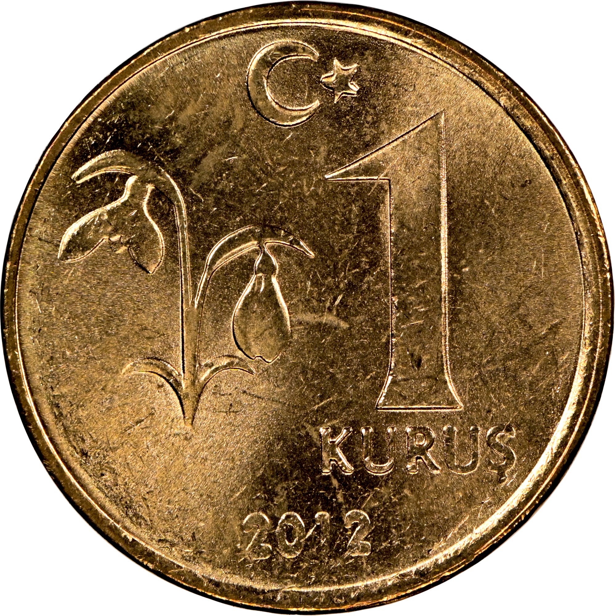 Turkey Kurus KM 1239 Prices & Values | NGC