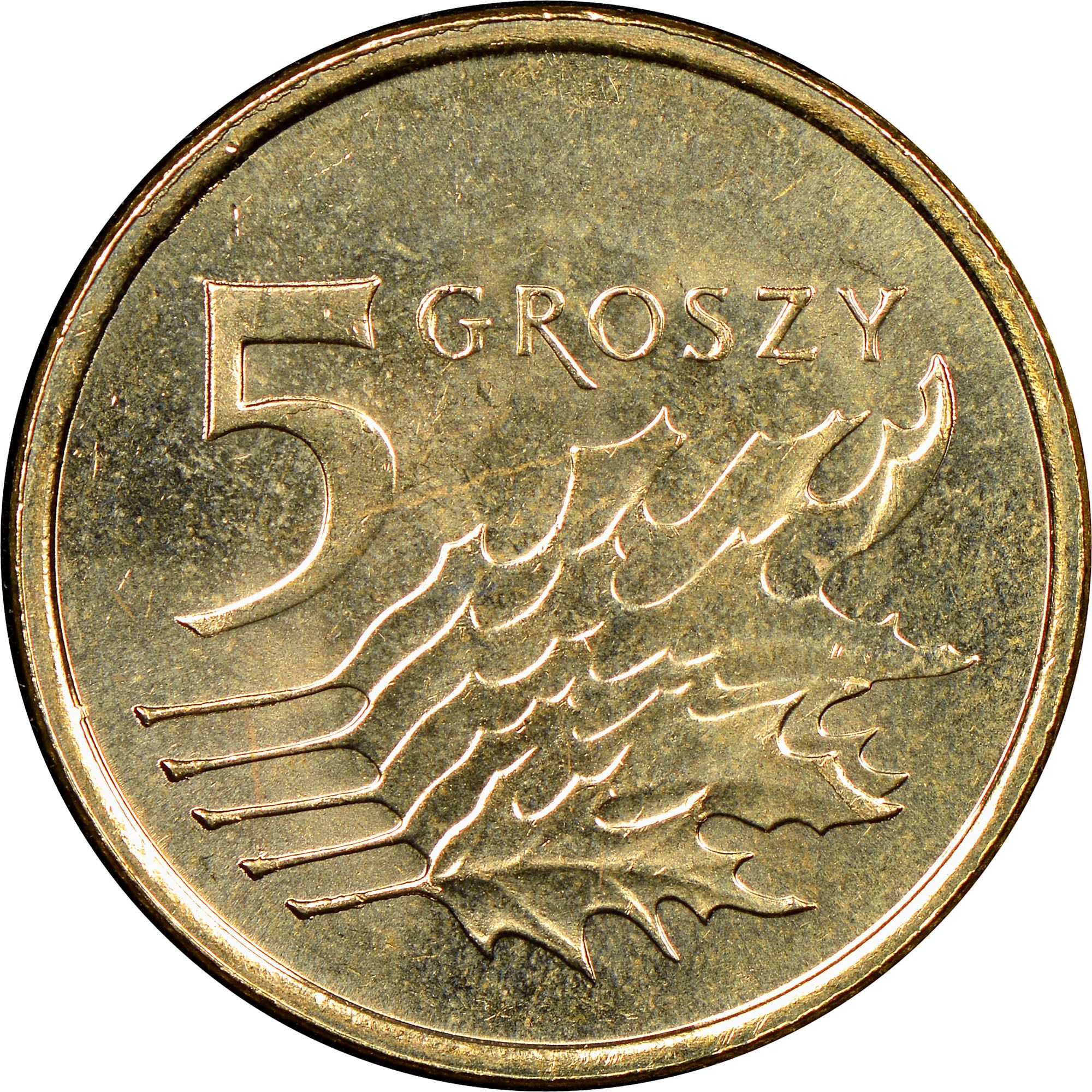 Poland 5 Groszy Y 278 Prices & Values | NGC