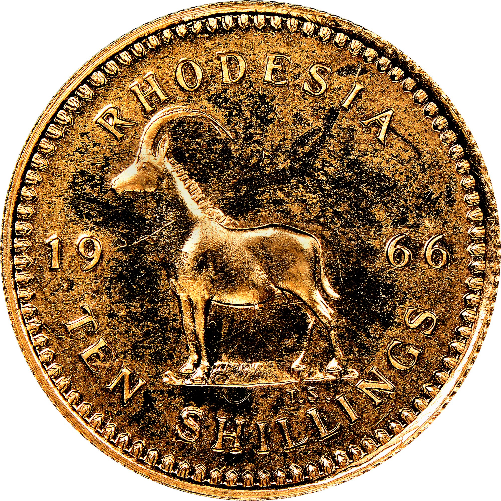 Rhodesia 10 Shillings KM 5 Prices & Values | NGC