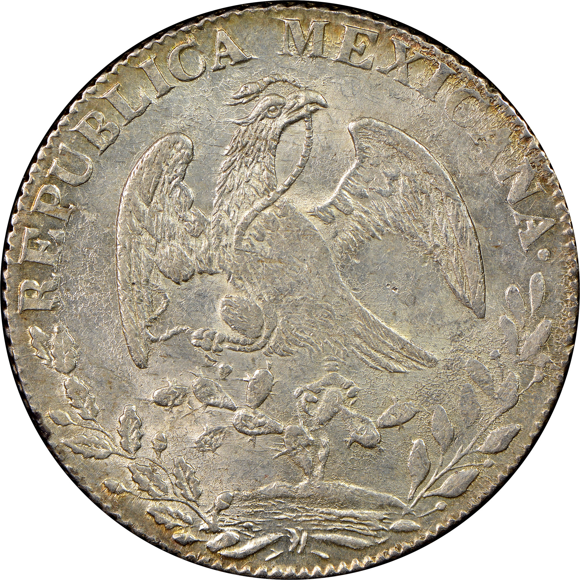 Mexico FIRST REPUBLIC 8 Reales KM 377.8 Prices & Values | NGC