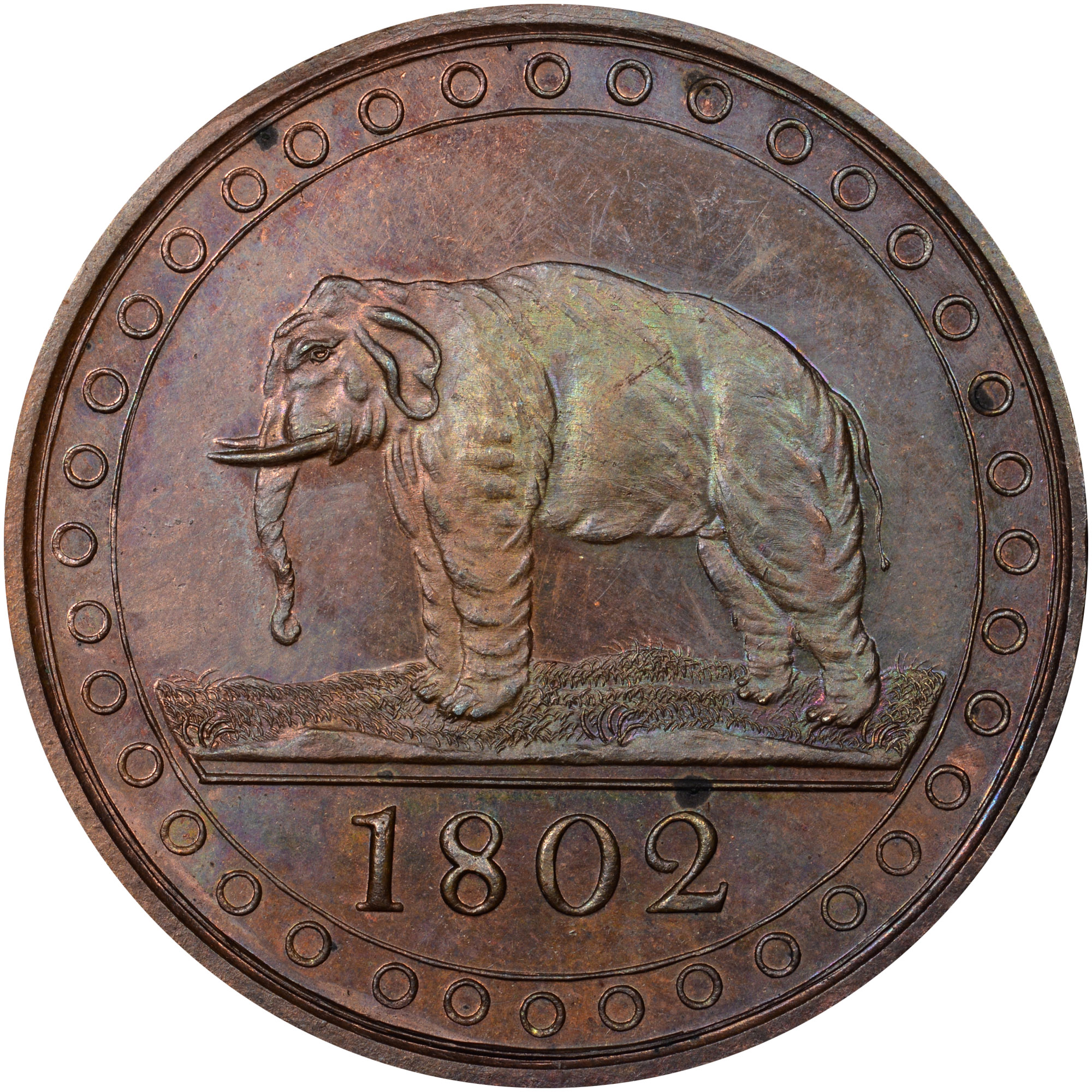 Ceylon 1/96 Rixdollar KM 74 Prices & Values | NGC