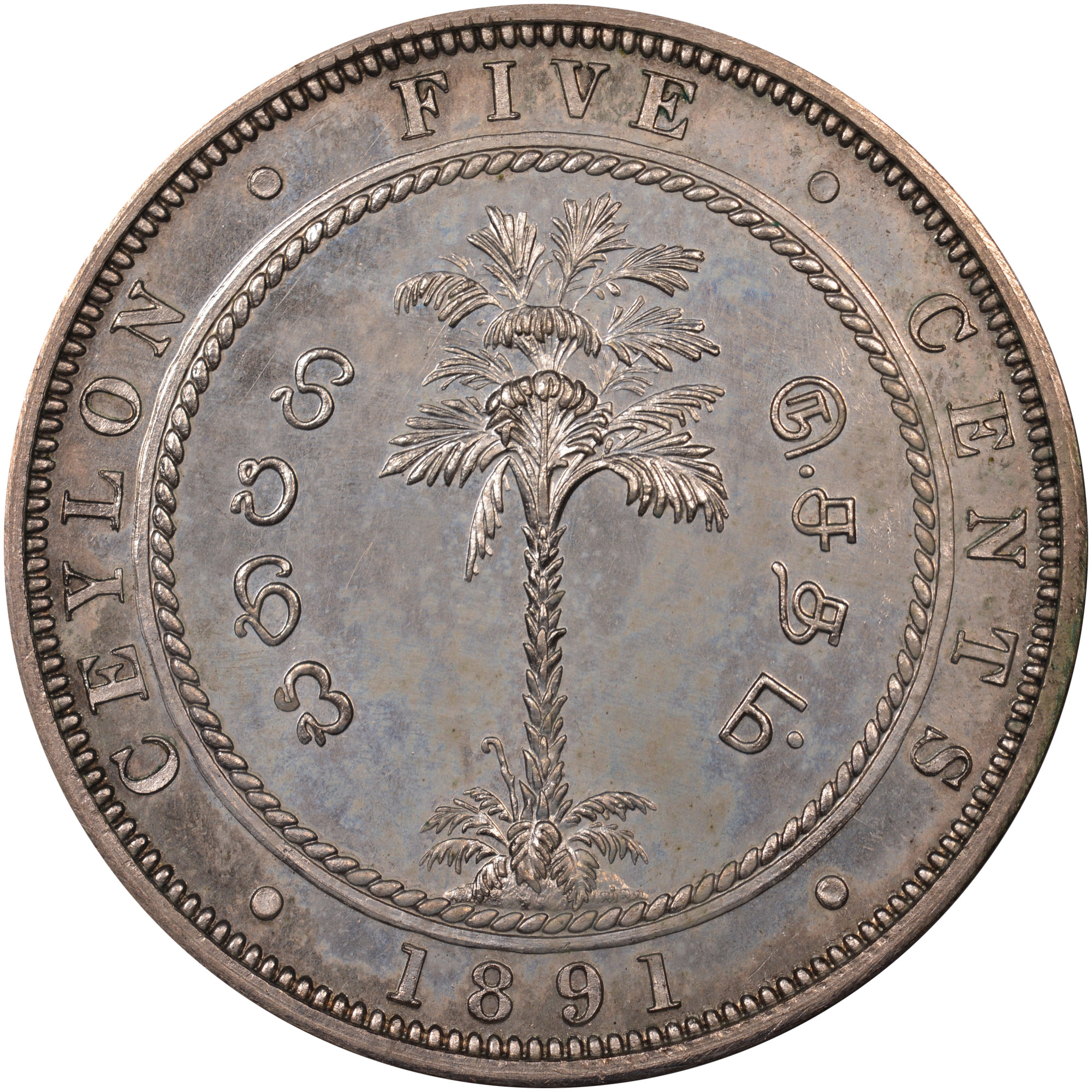 Ceylon 5 Cents KM 93a Prices & Values | NGC