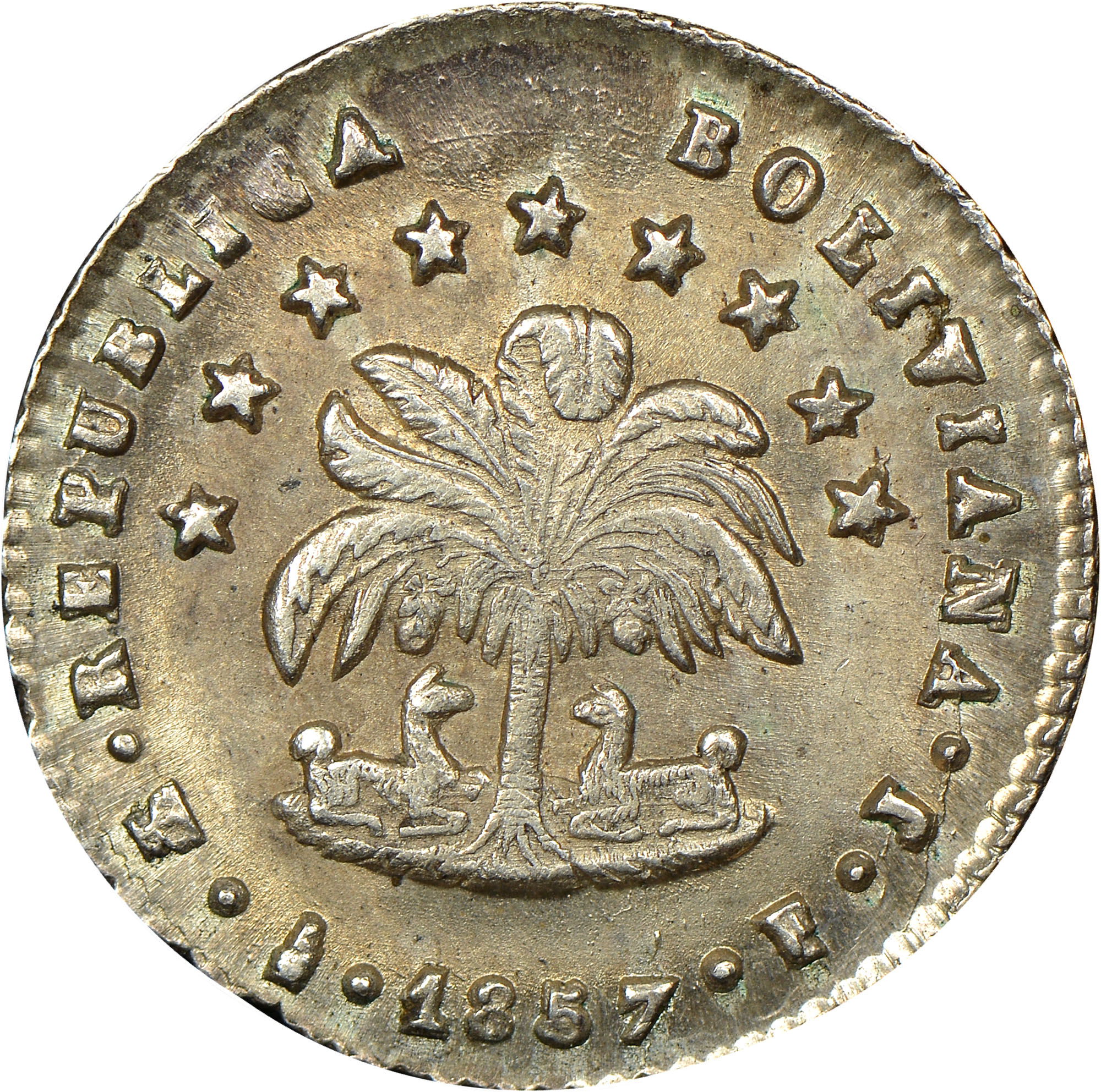 Bolivia 1/2 Sol KM 118.2 Prices & Values | NGC