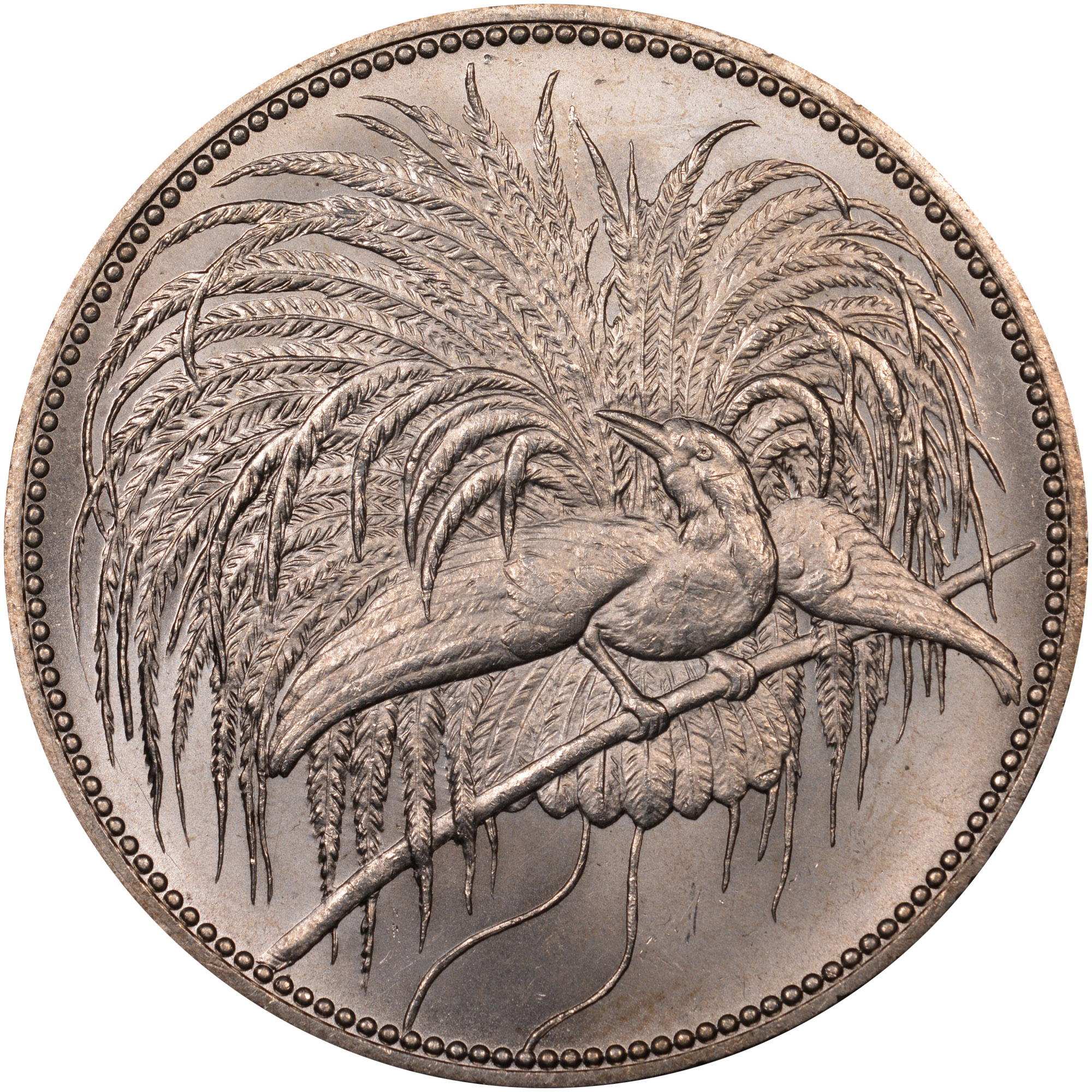 German New Guinea 5 Mark KM 7 Prices & Values | NGC