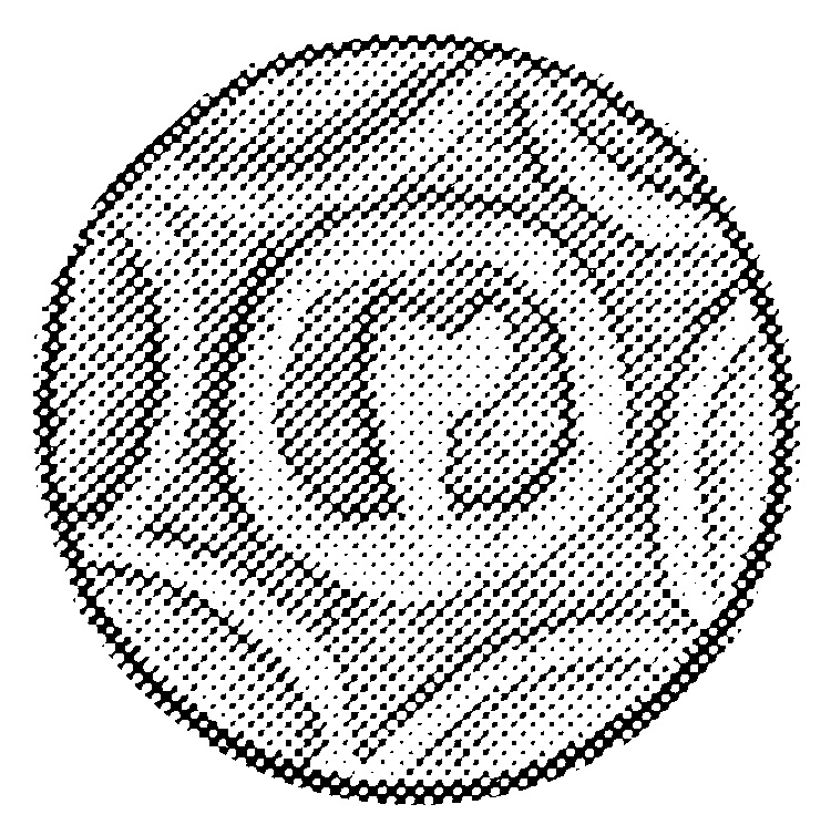 Central Asia BUKHARA 2 Fulus KM 42 Prices & Values | NGC