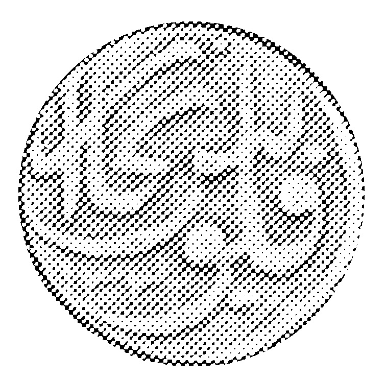 Central Asia BUKHARA 2 Fulus KM 42 Prices & Values | NGC